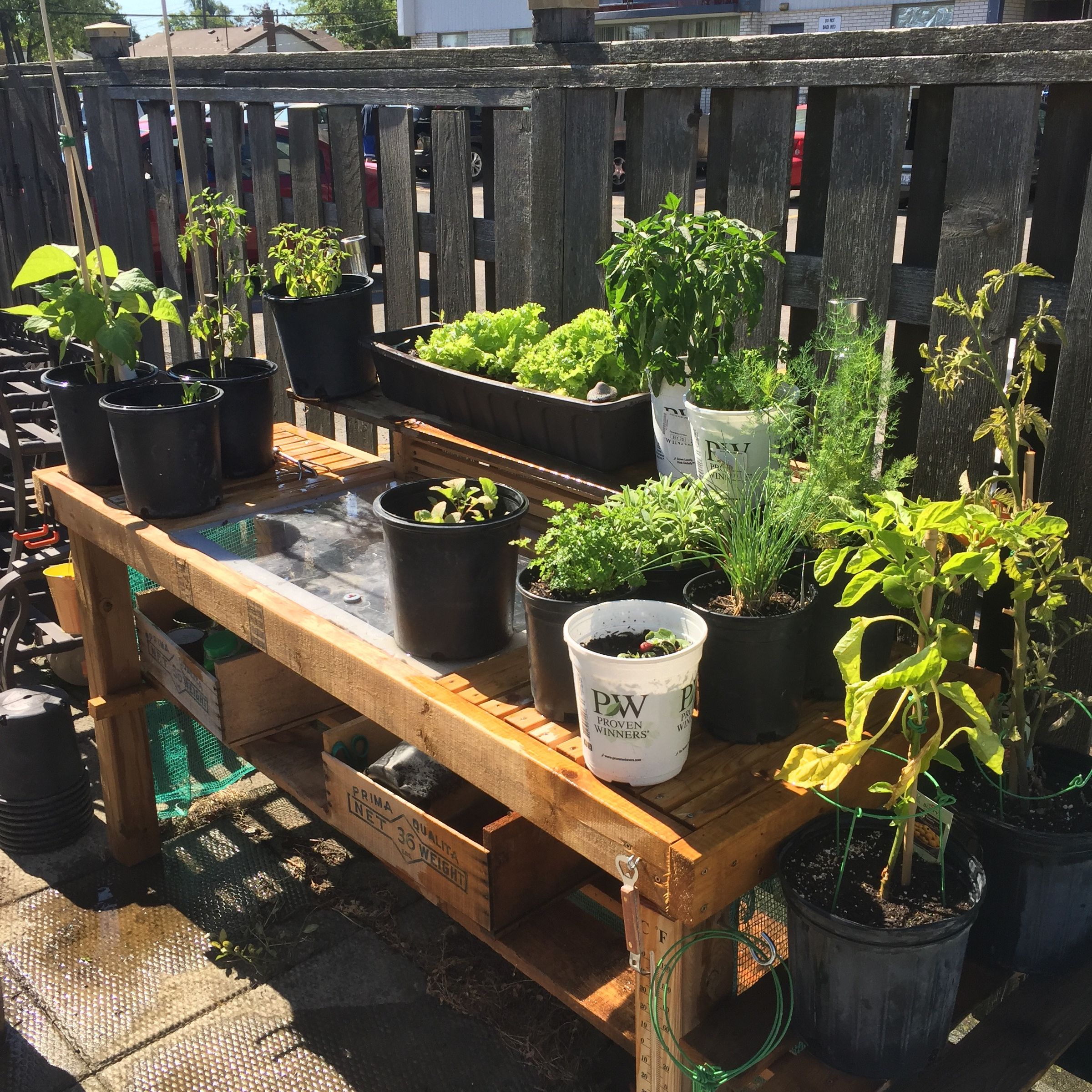 Planting Bench With Protected Growing Station : 3 Steps (with Pictures ...