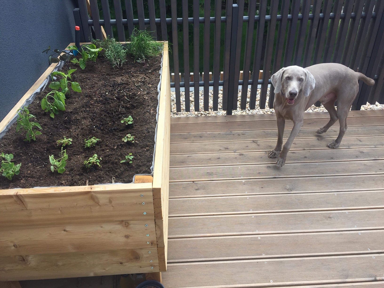 Wooden Terrace Planter : 4 Steps - Instructables
