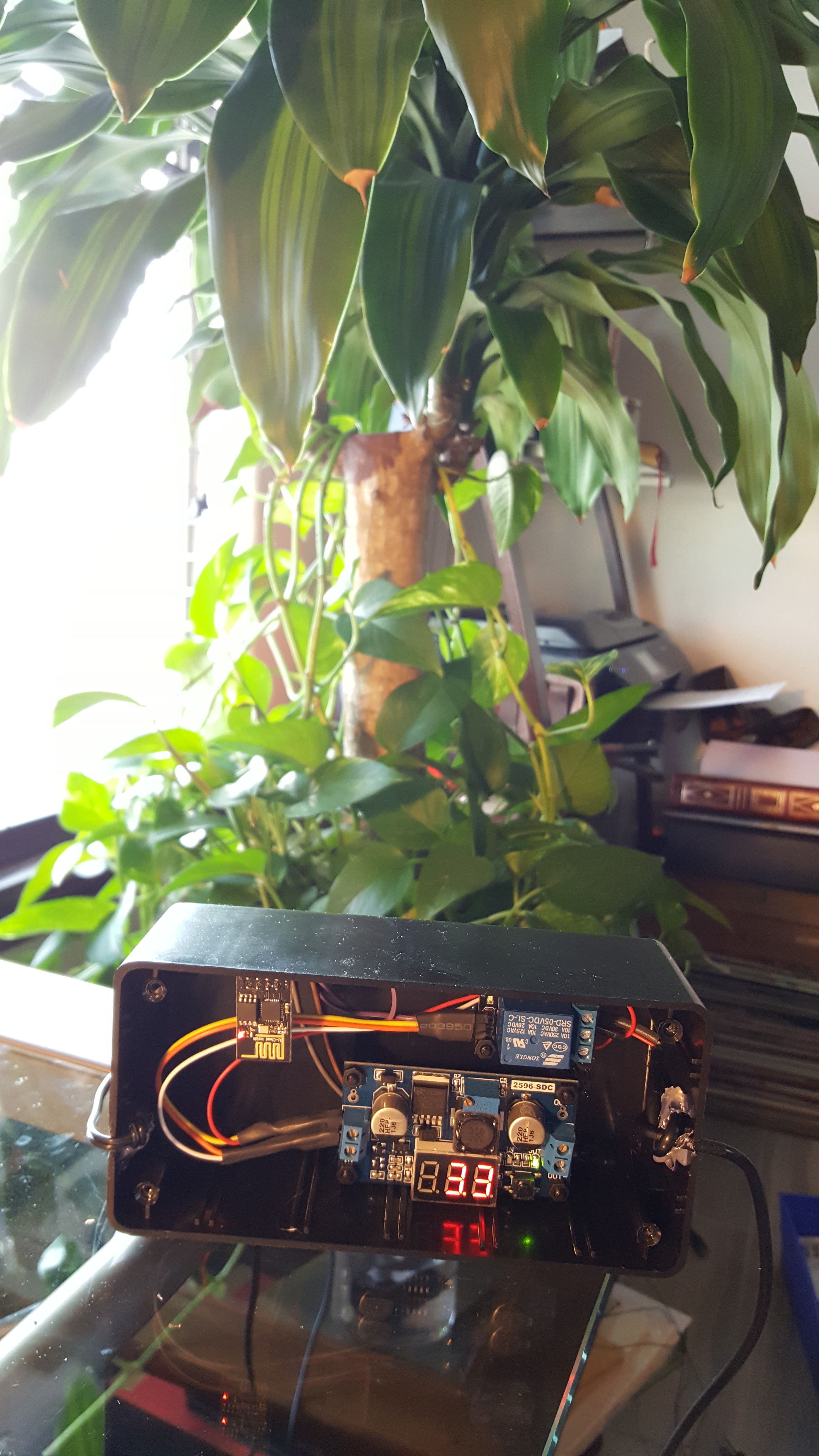 WiFi Plant Watering ESP8266 : 12 Steps (with Pictures) - Instructables
