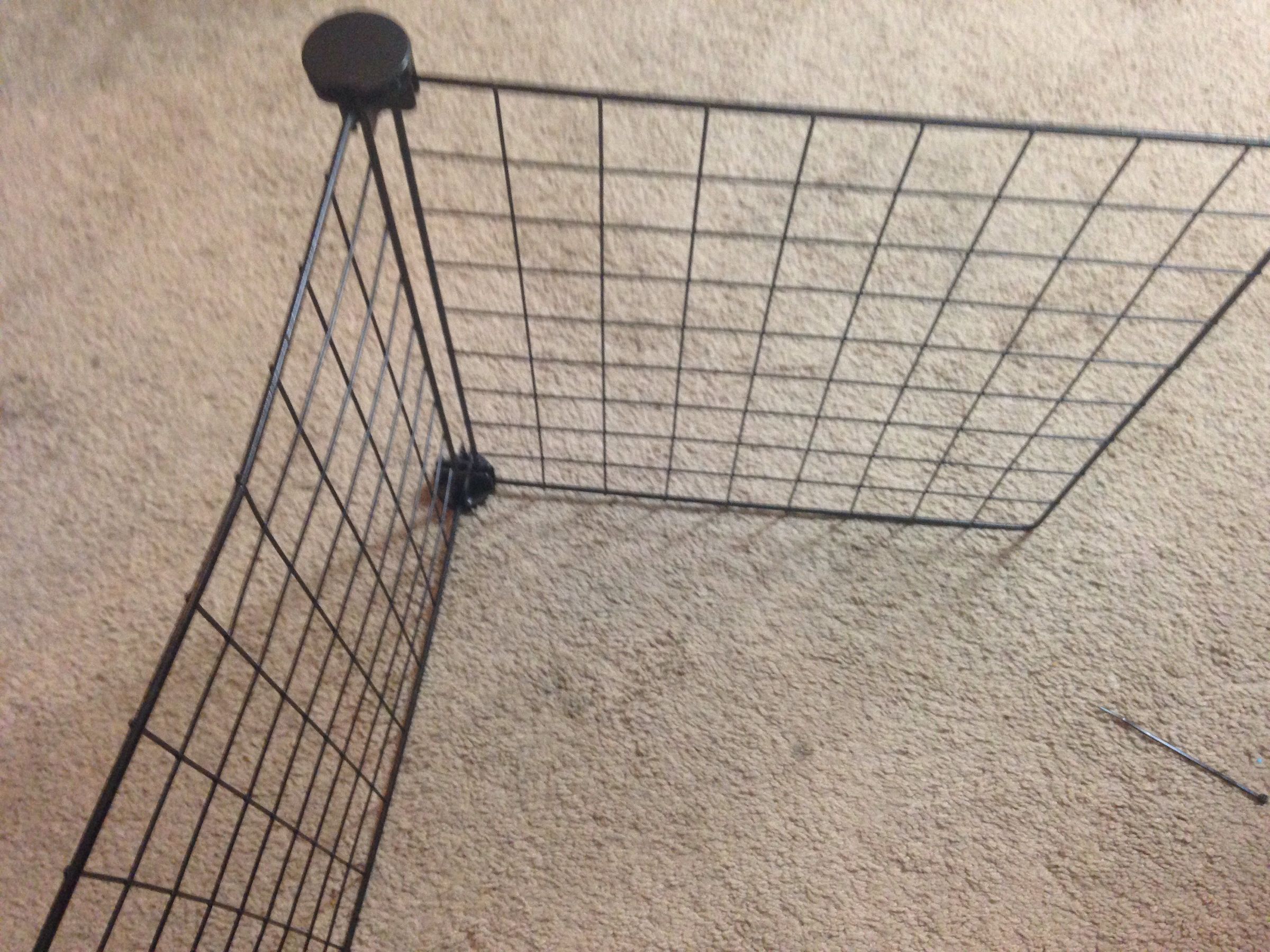 DIY Cat Run : 5 Steps - Instructables