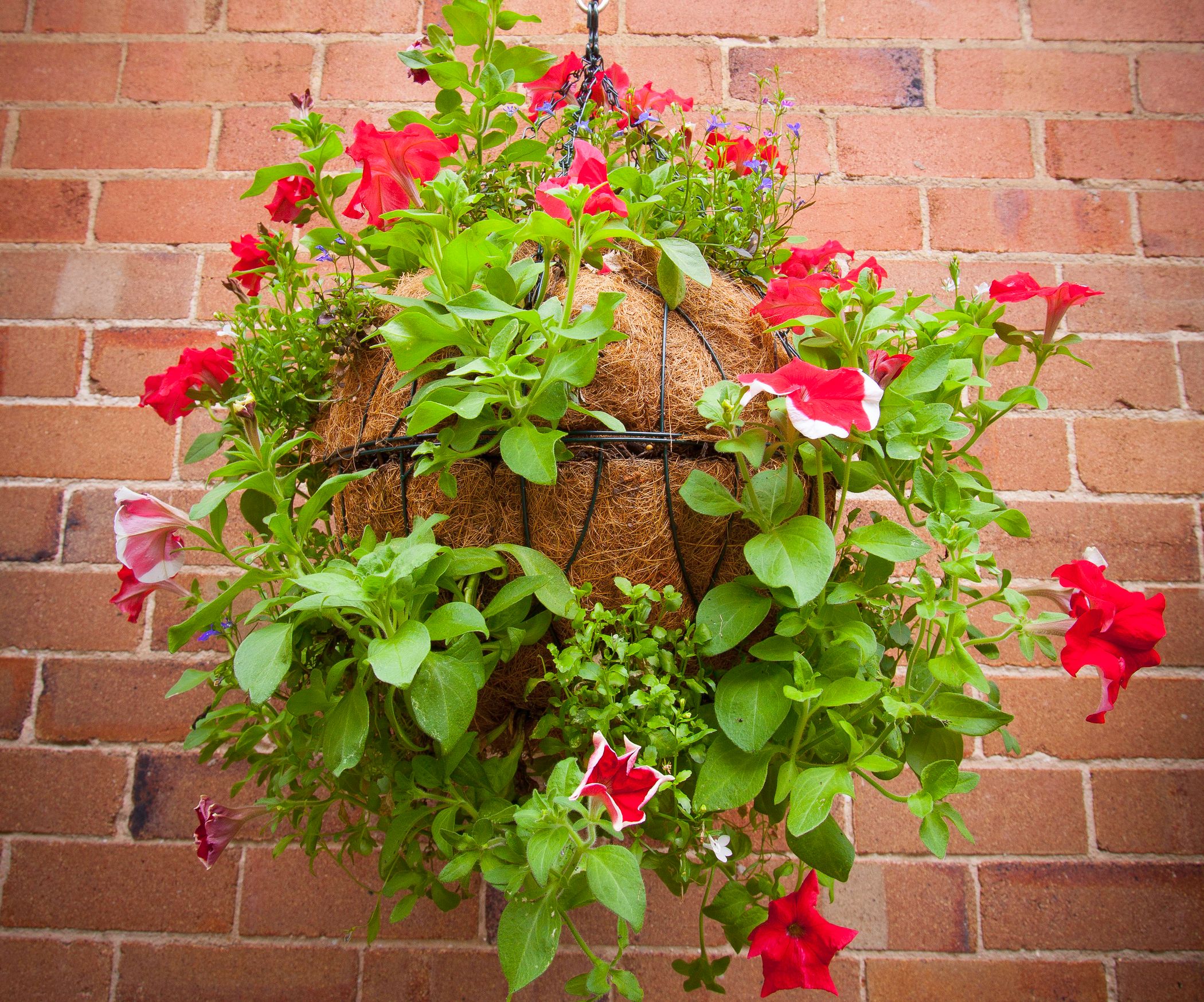 Hanging Floral Balls : 7 Steps (with Pictures) - Instructables