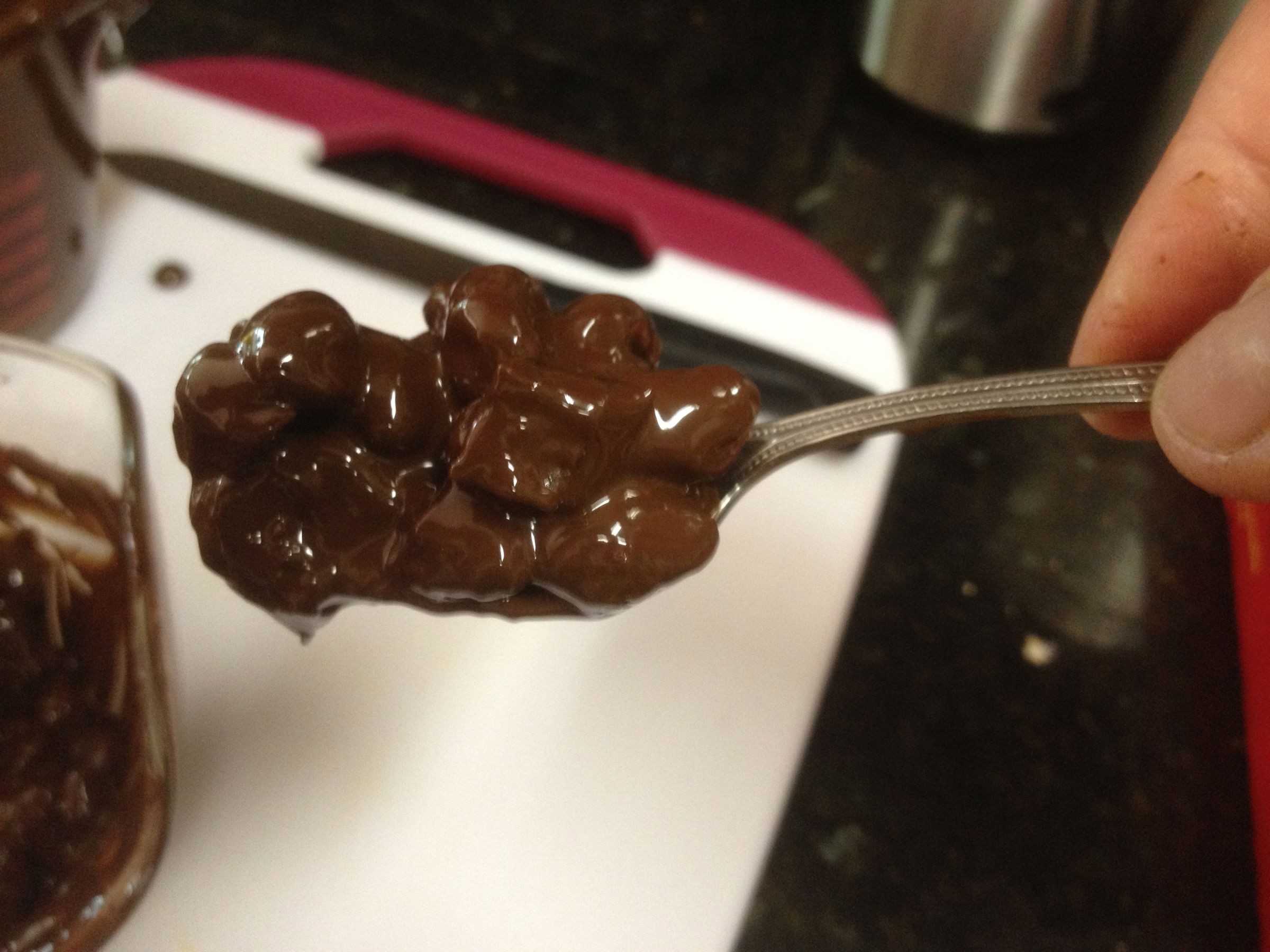 Chocolate Dipped Fruit and Clusters : 14 Steps (with Pictures ...