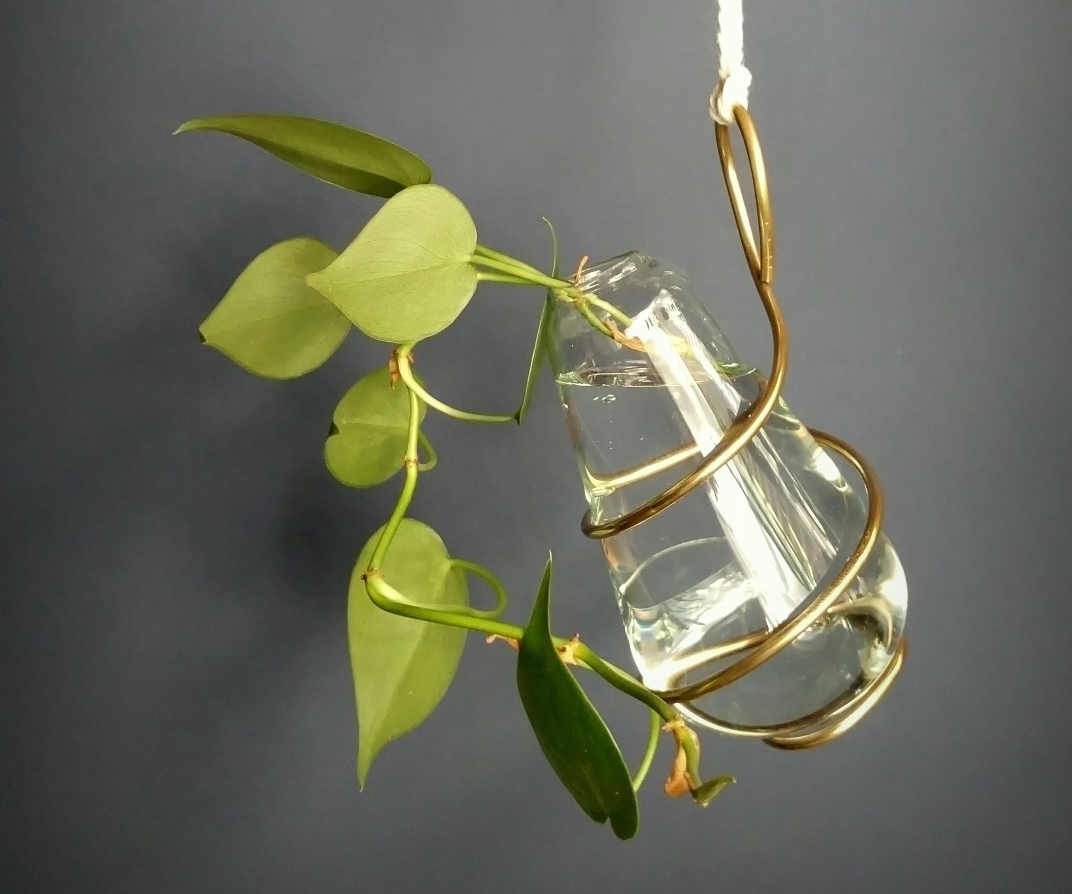 Water Propping Station From Light Bulbs : 8 Steps (with Pictures ...
