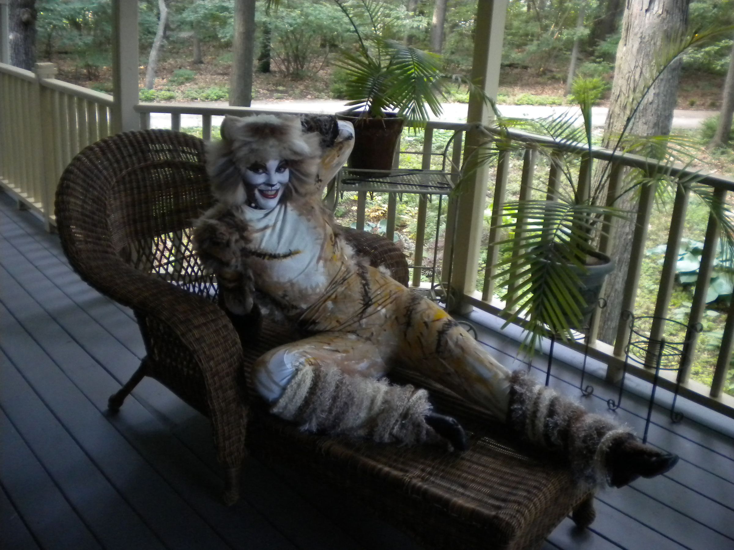 Cats Musical Costume - Instructables