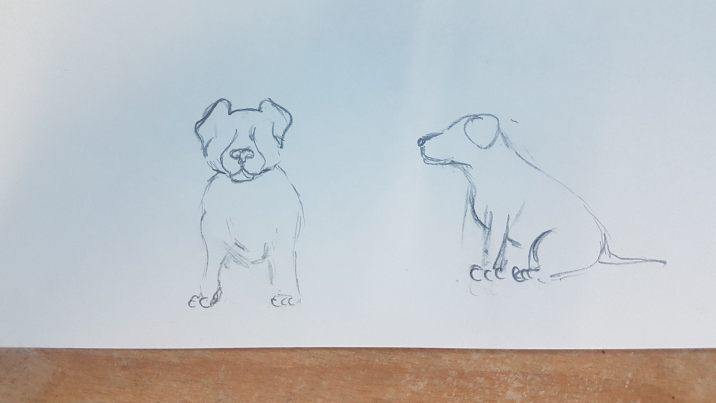 Sculpting a Clay Dog :) : 12 Steps - Instructables
