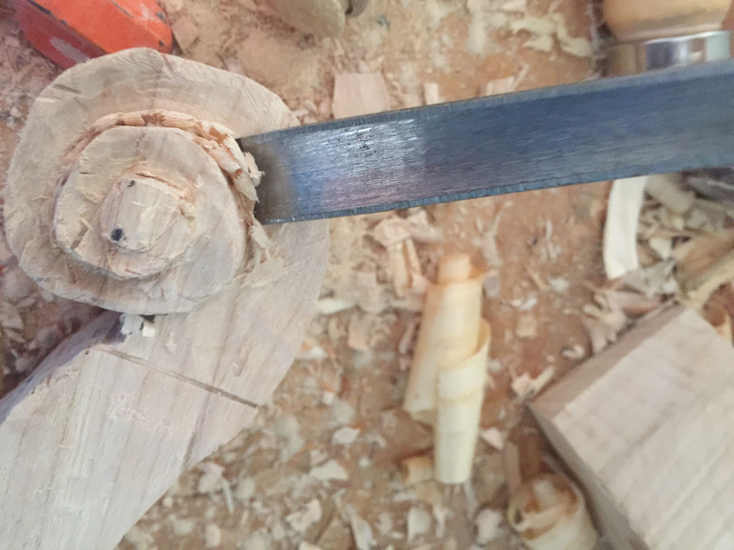 How to Make a Violin : 12 Steps (with Pictures) - Instructables