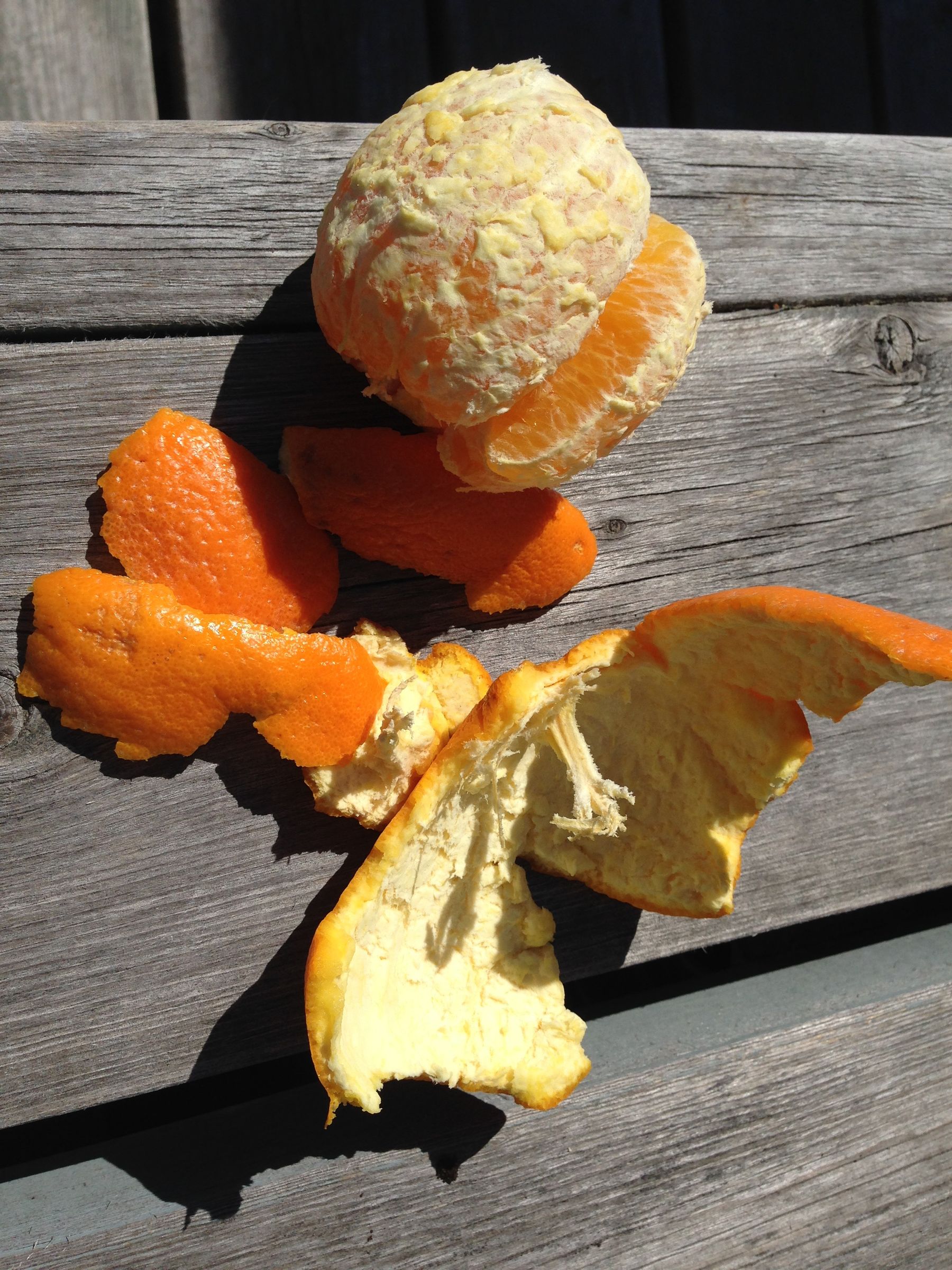 Orange Peel Skewers : 4 Steps (with Pictures) - Instructables