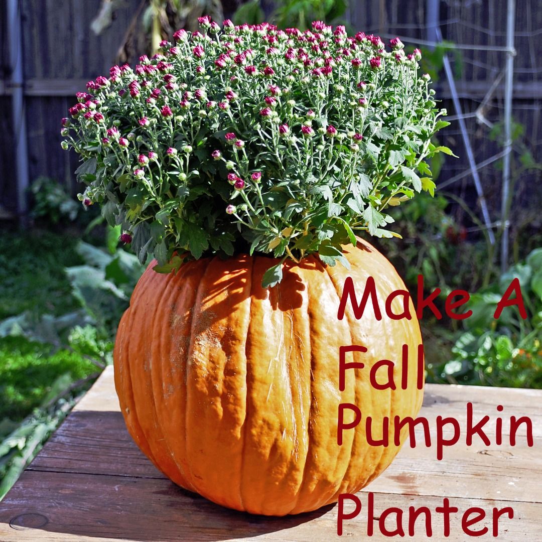 Festive Fall Pumpkin Planter - Instructables