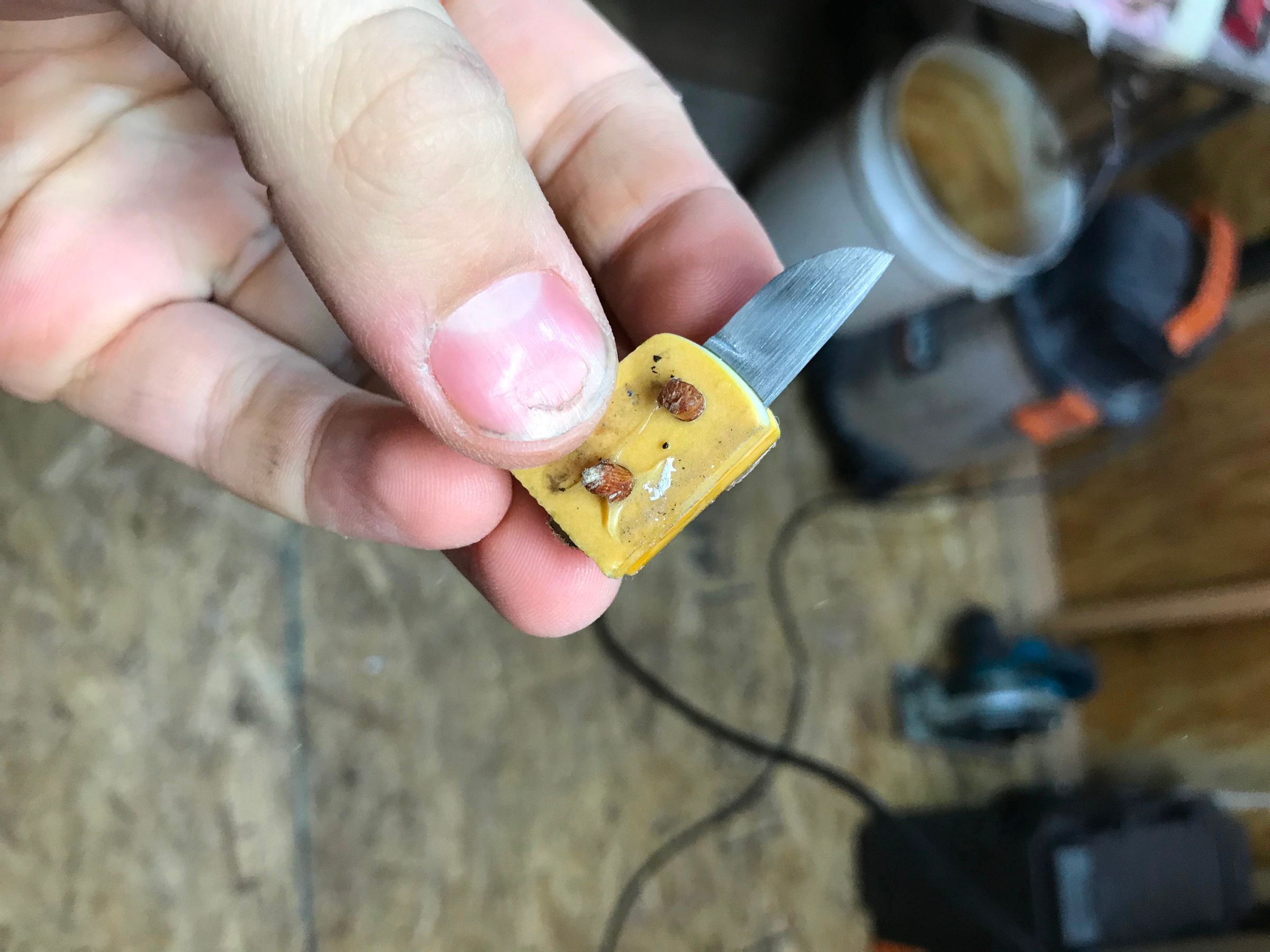 Making a Tiny Knife : 7 Steps (with Pictures) - Instructables