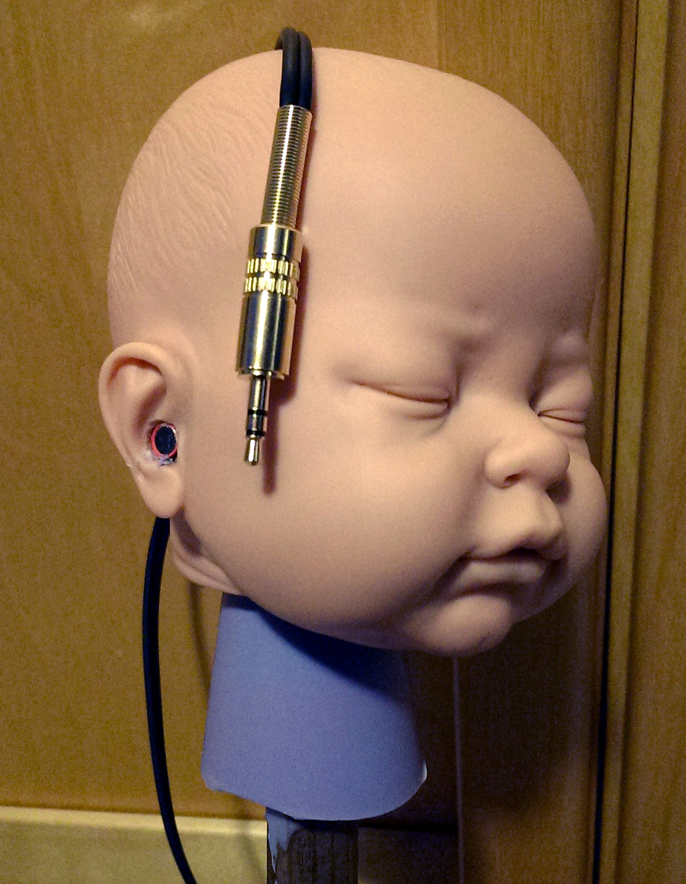 Binaural Dummy Head Microphone : 8 Steps - Instructables