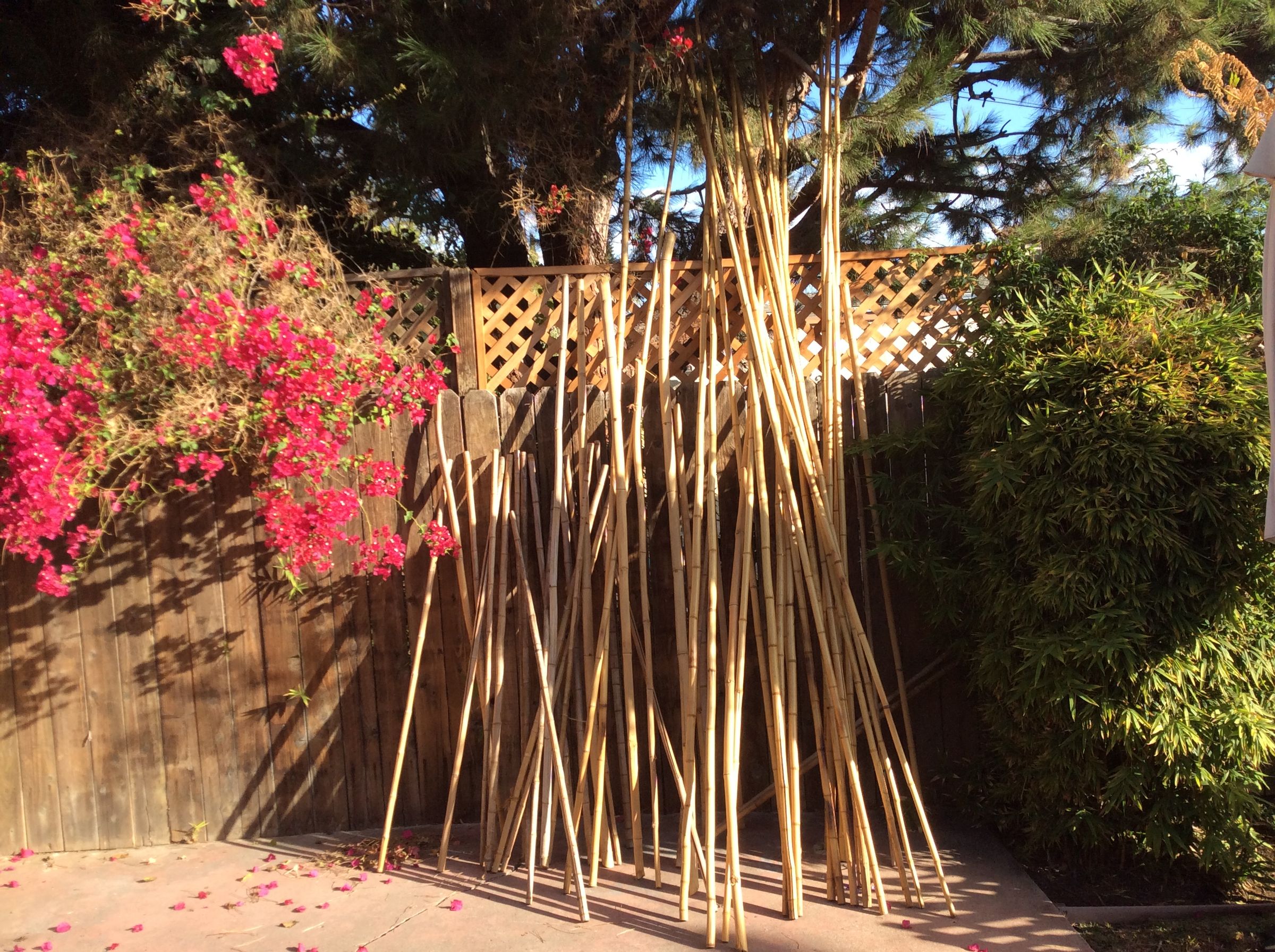 Build a Shelter (sukkah, Booth, Hut) : 8 Steps (with Pictures ...