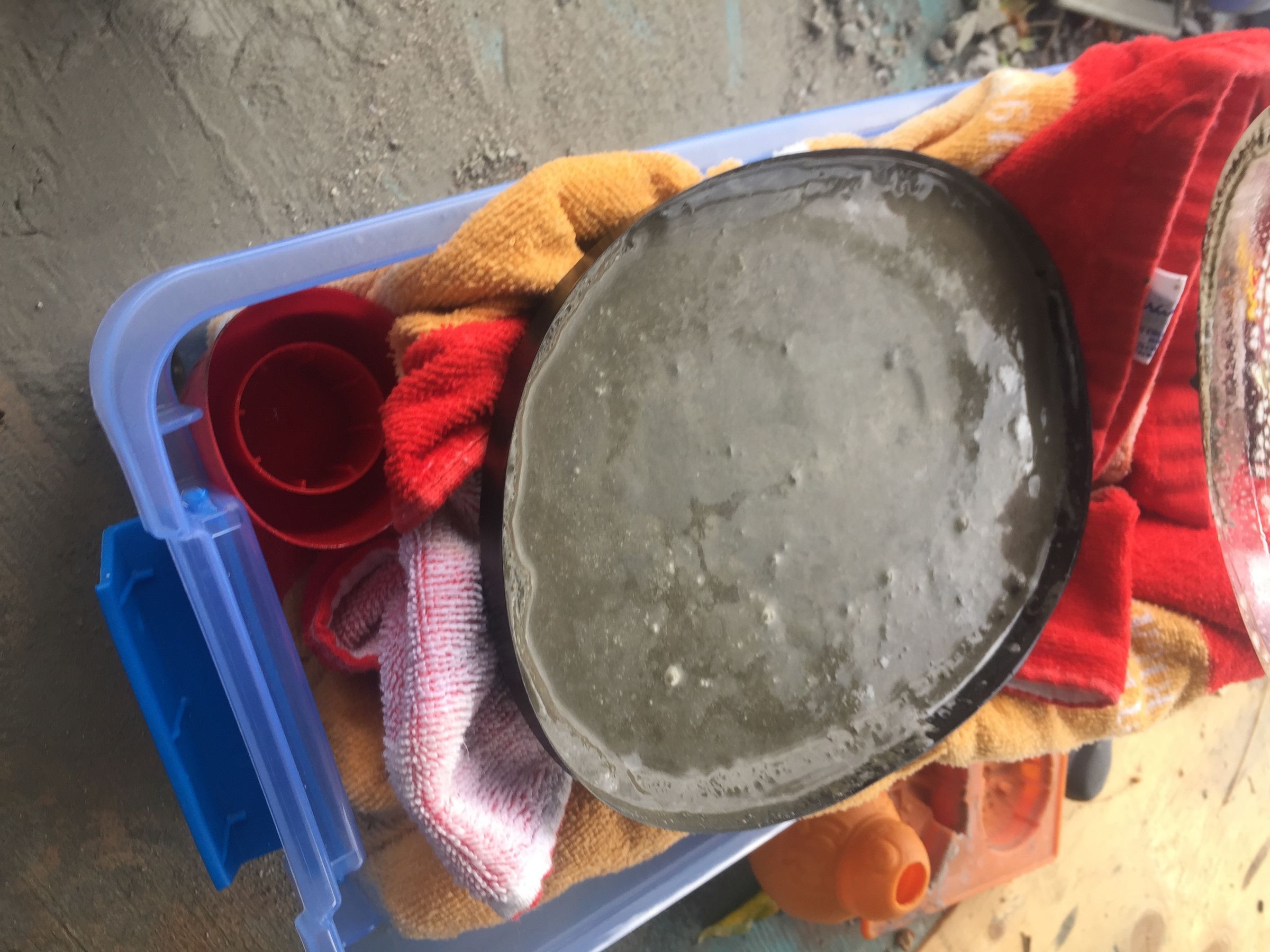 Concrete Brain Halloween Decoration ($10) : 5 Steps (with Pictures ...