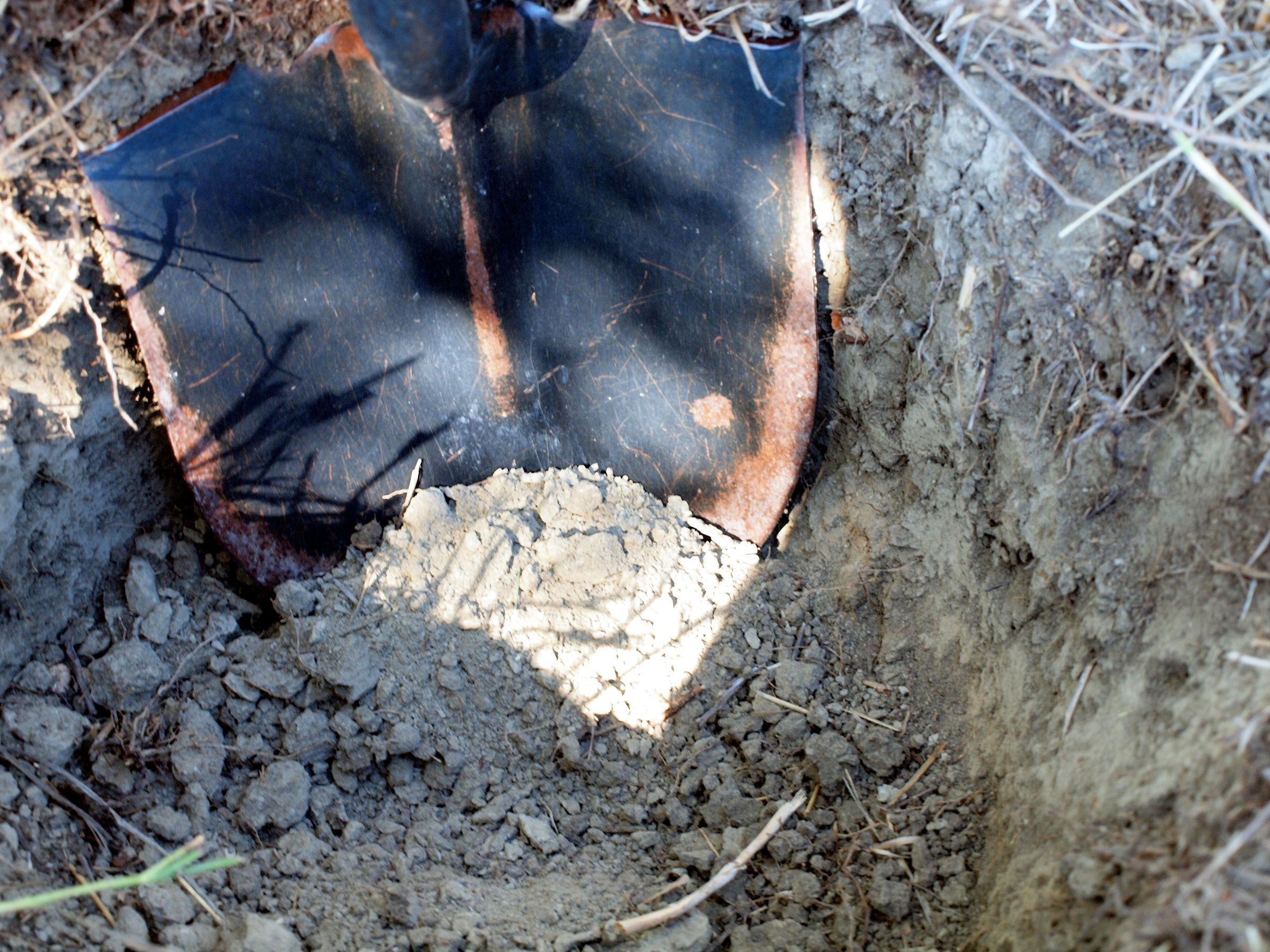 When You Have to Say Goodbye, How to Properly Bury a Pet. : 8 Steps ...