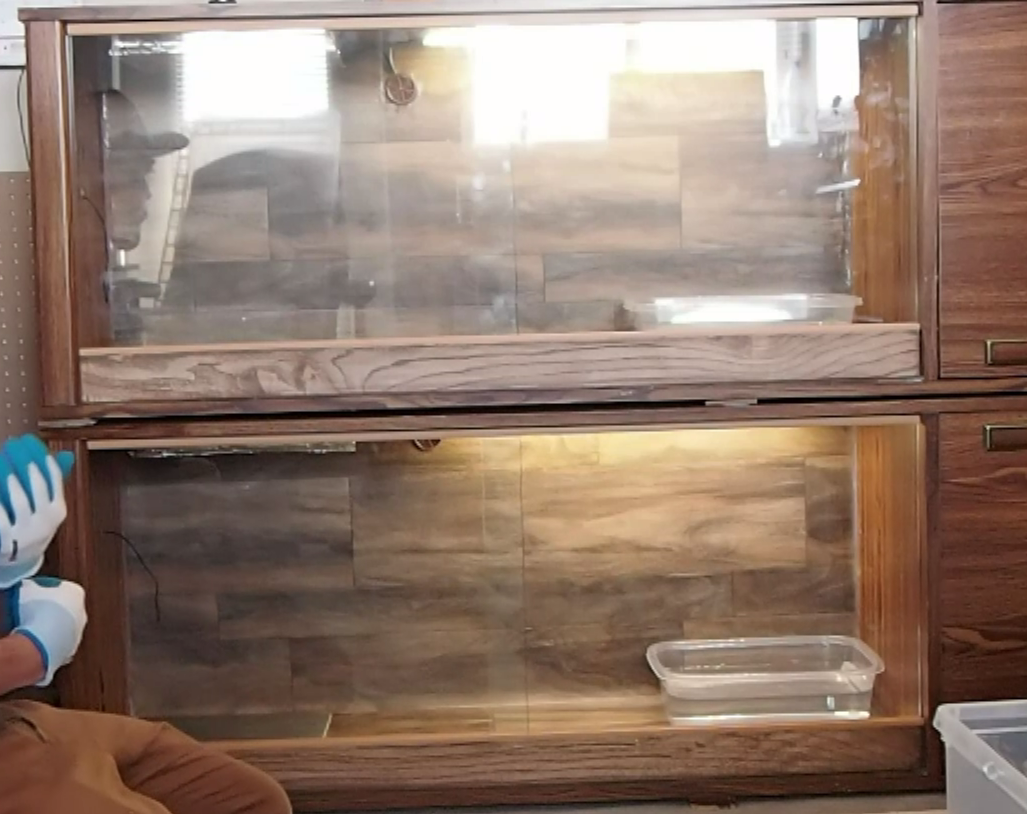 DIY Snake Cage : 12 Steps (with Pictures) - Instructables