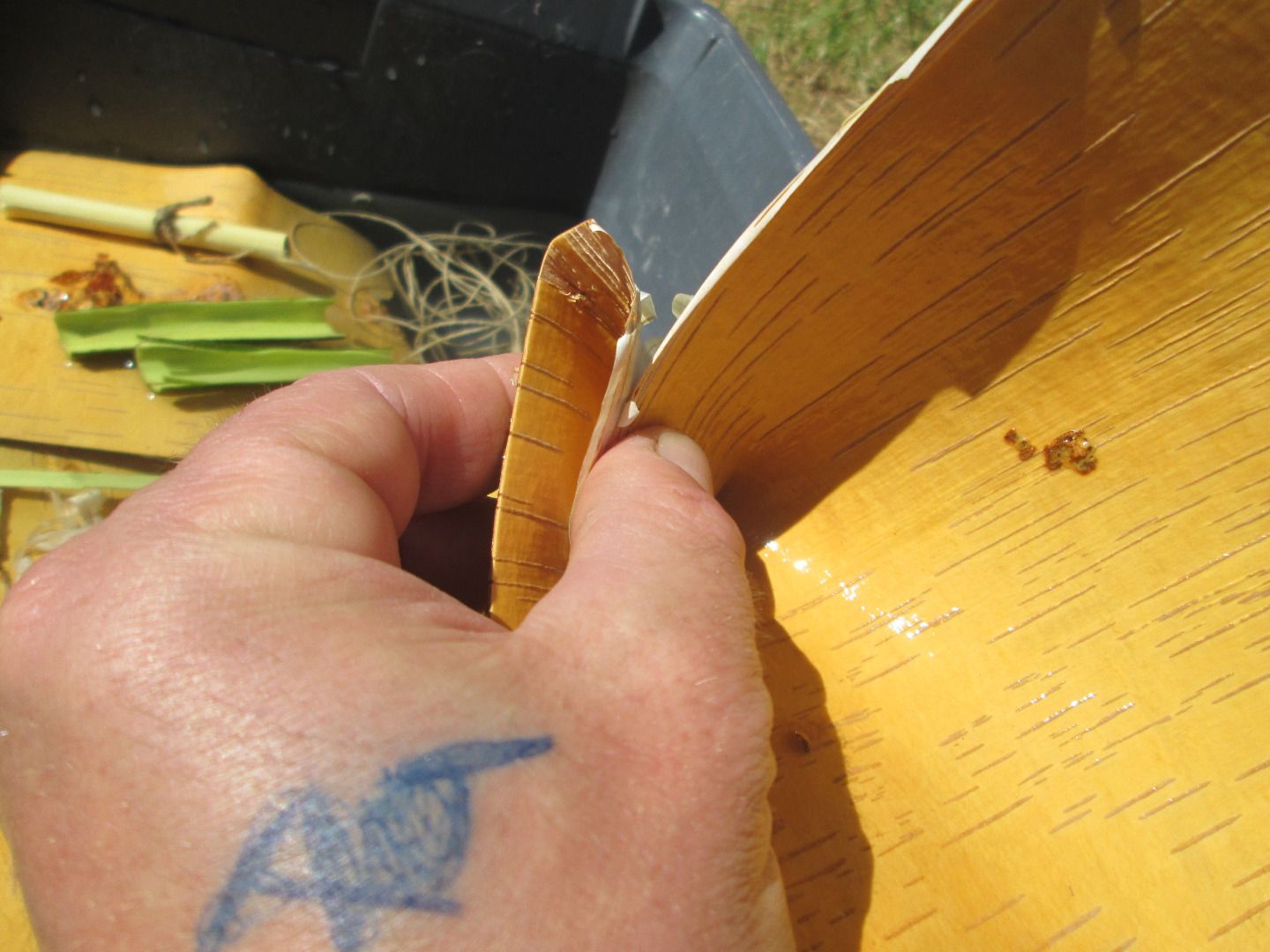 Survive in Style (1) - Softboiled Eggs : 6 Steps (with Pictures) - Instructables