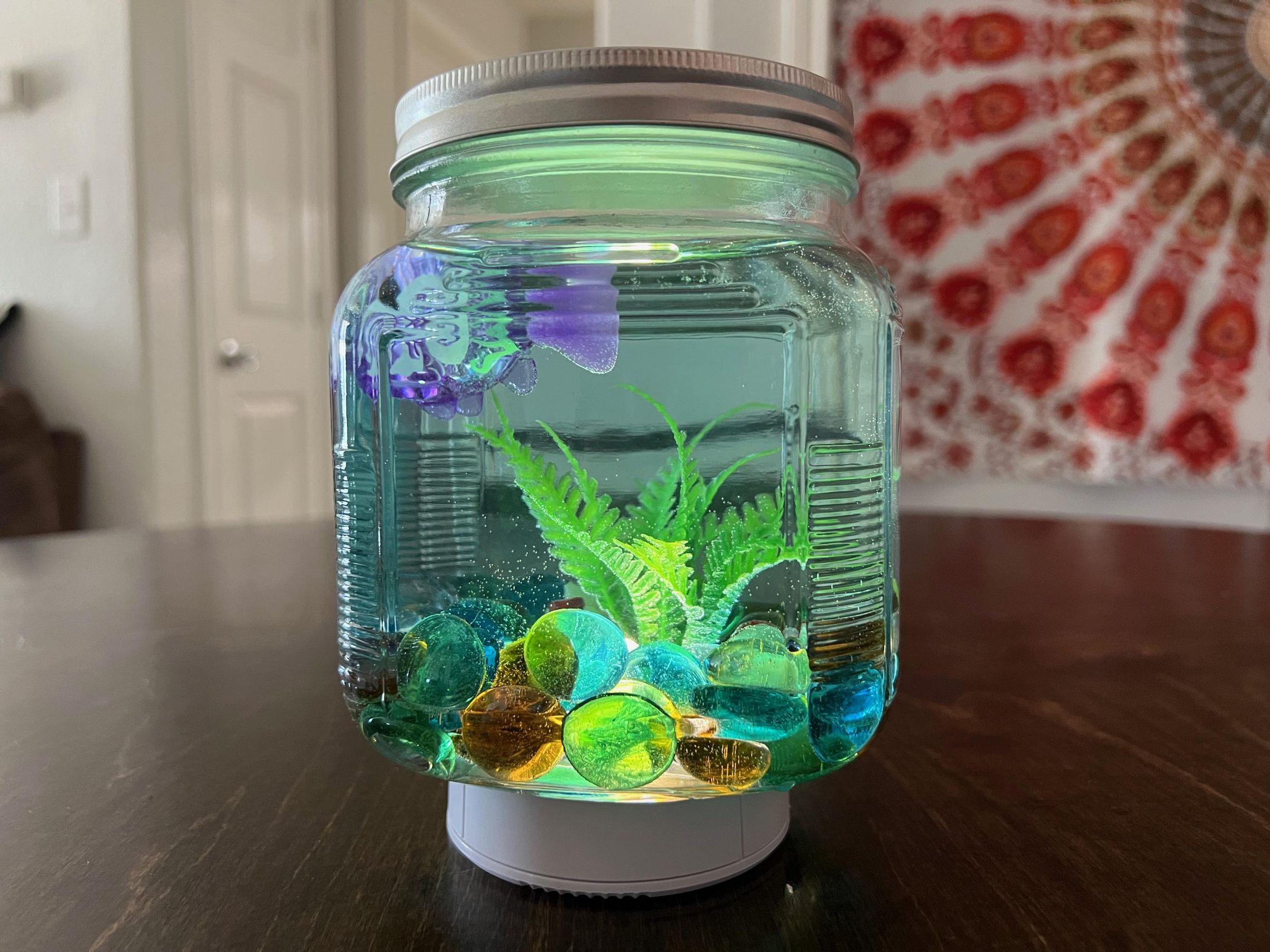 Homemade, Mini Aquatic Terrarium : 8 Steps - Instructables
