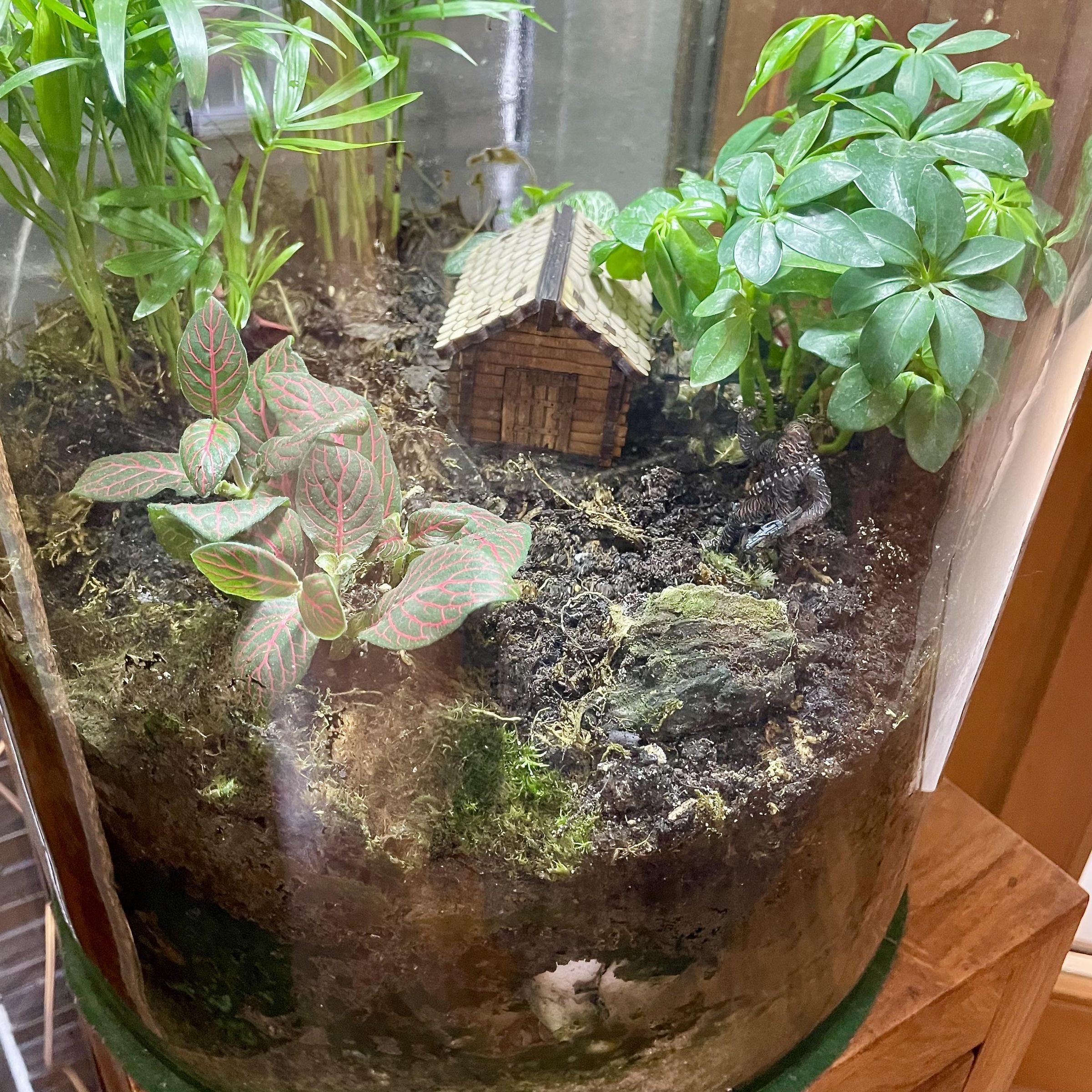 Laser Cut Woodland Cabin Hut for Terrarium : 5 Steps - Instructables