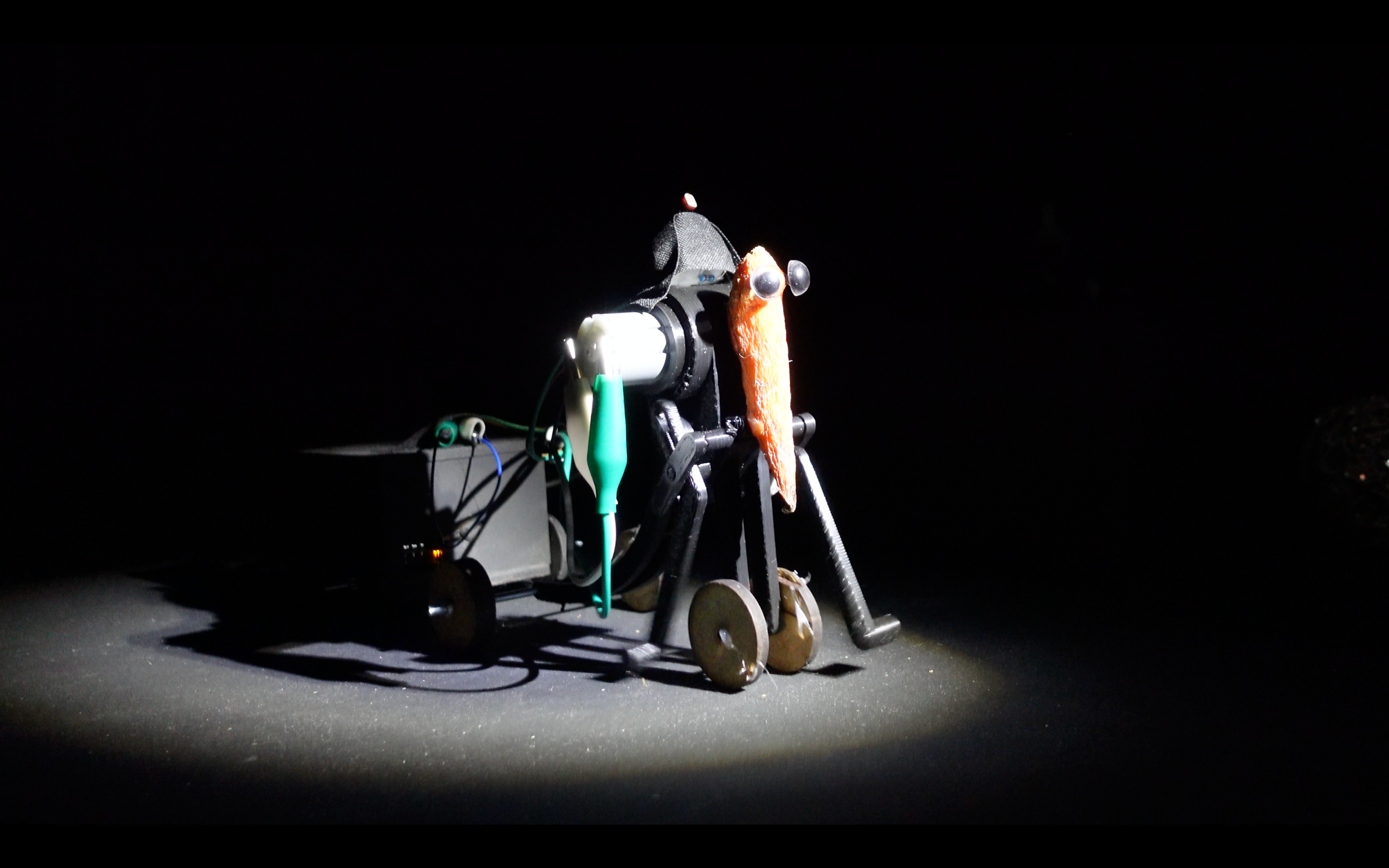 Escarrot and Disco Carrot : 5 Steps - Instructables