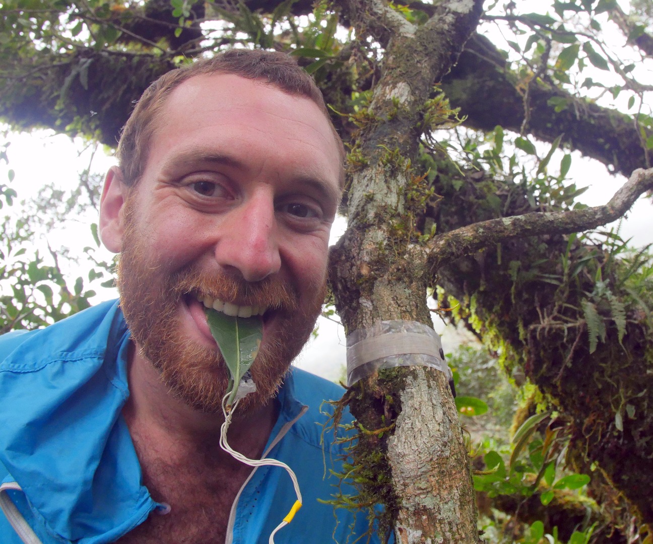 Fiber-Optic Jungle Insect Traffic Taster : 17 Steps (with Pictures ...