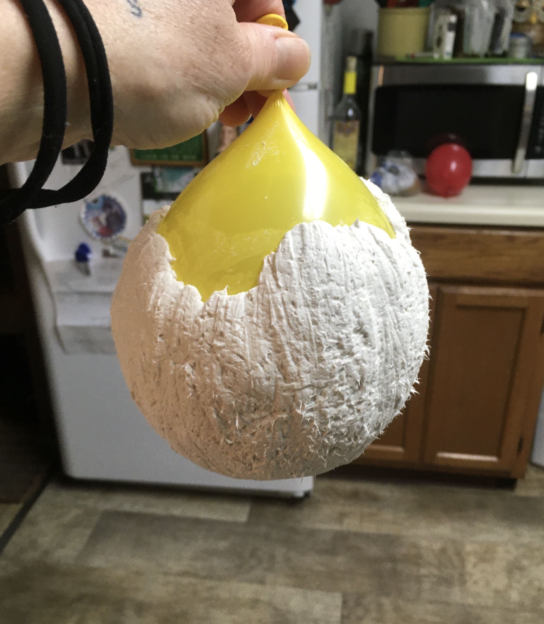 Barnacle Sculptures--and an Experiment With 2 Kinds of Homemade Paper ...