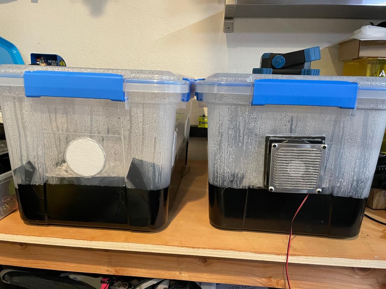 The Autotub - Fully Automated Cloud Connected Monotub for Mushroom ...