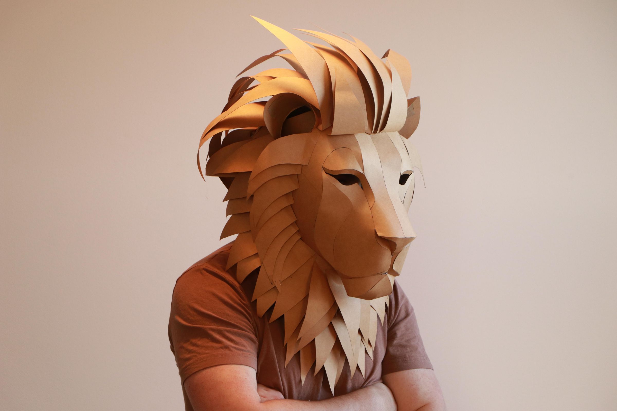 A Stylish Cardboard Lion Mask With Smooth Lines. Easy-to-follow ...