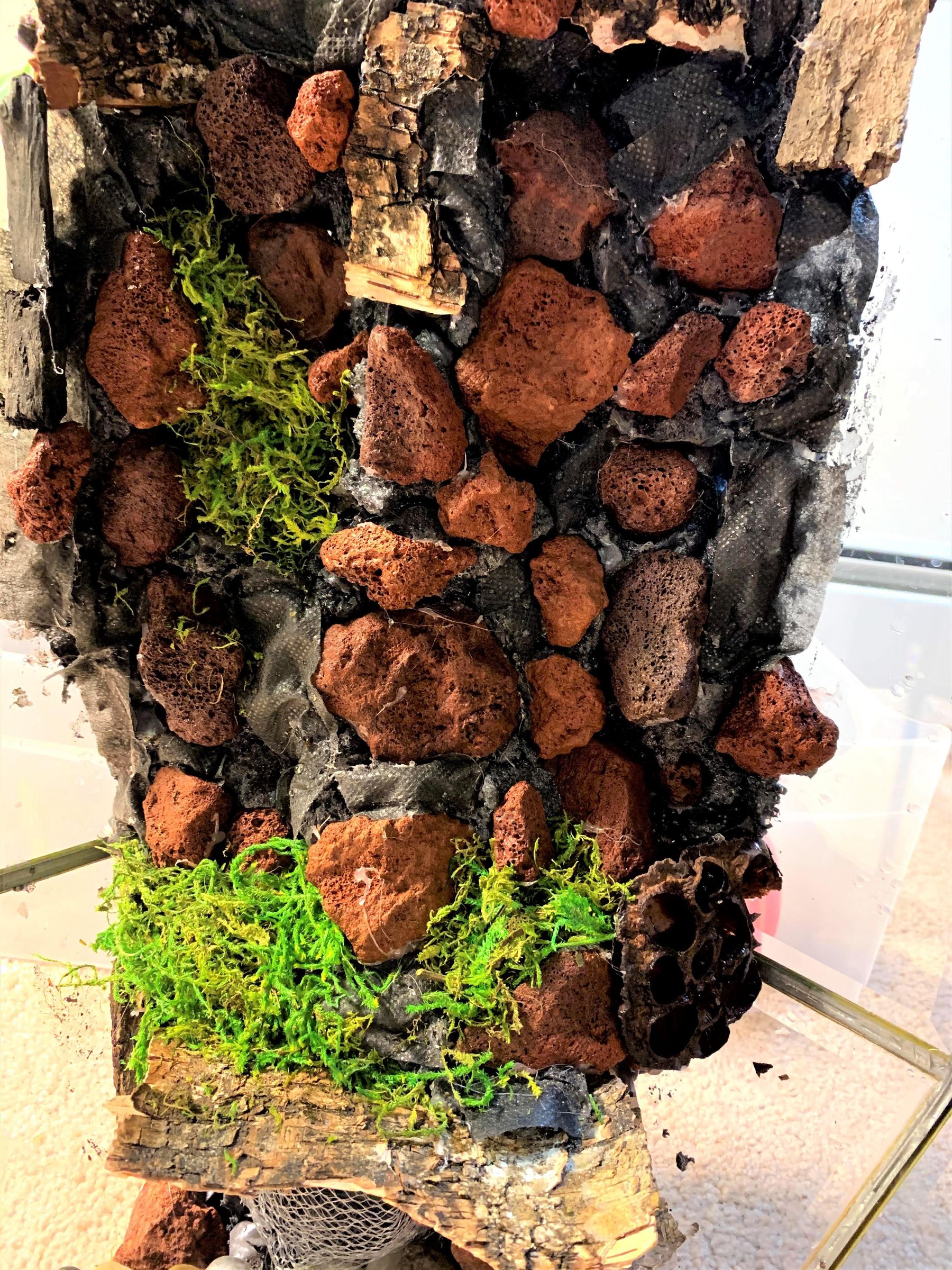 Repurposed Glass Chandelier Into Live Moss Drip Wall and Faux Terrarium ...