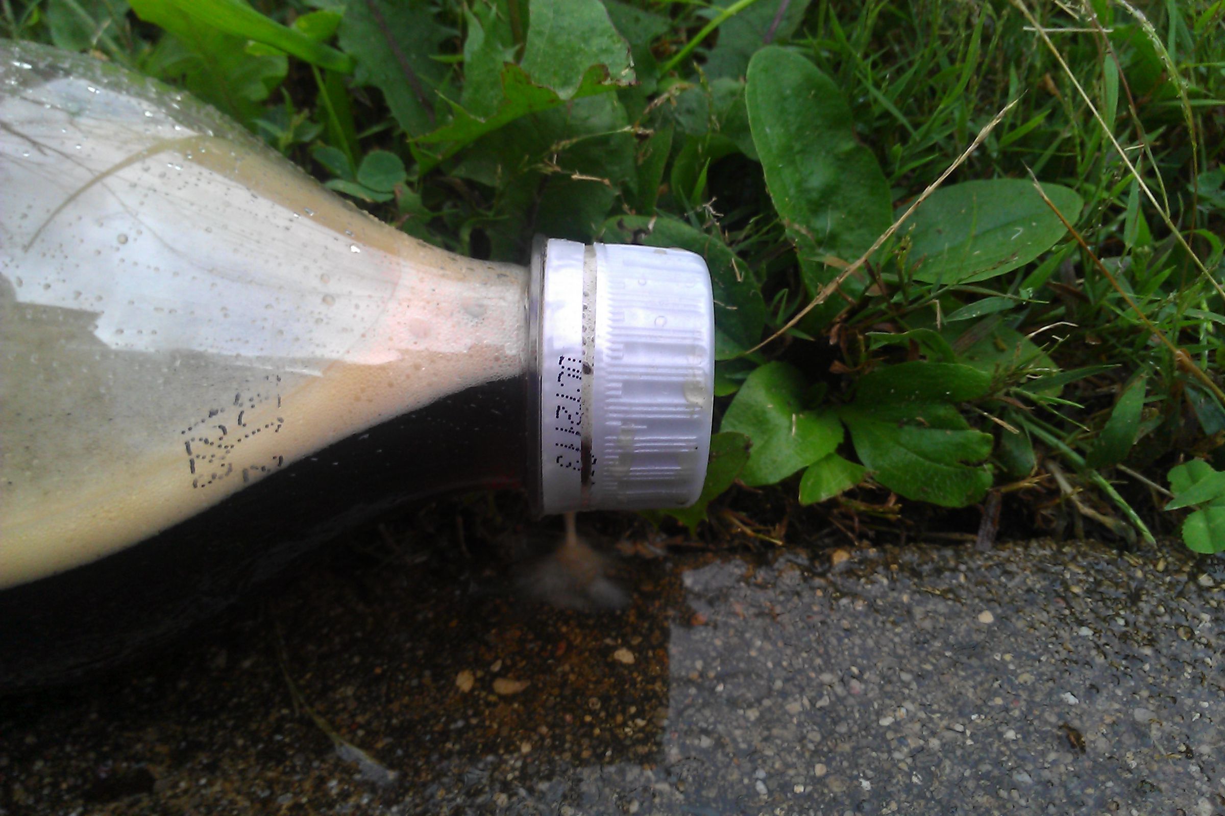 How to Make Soda POP!!! -Two Classic Methods : 11 Steps - Instructables