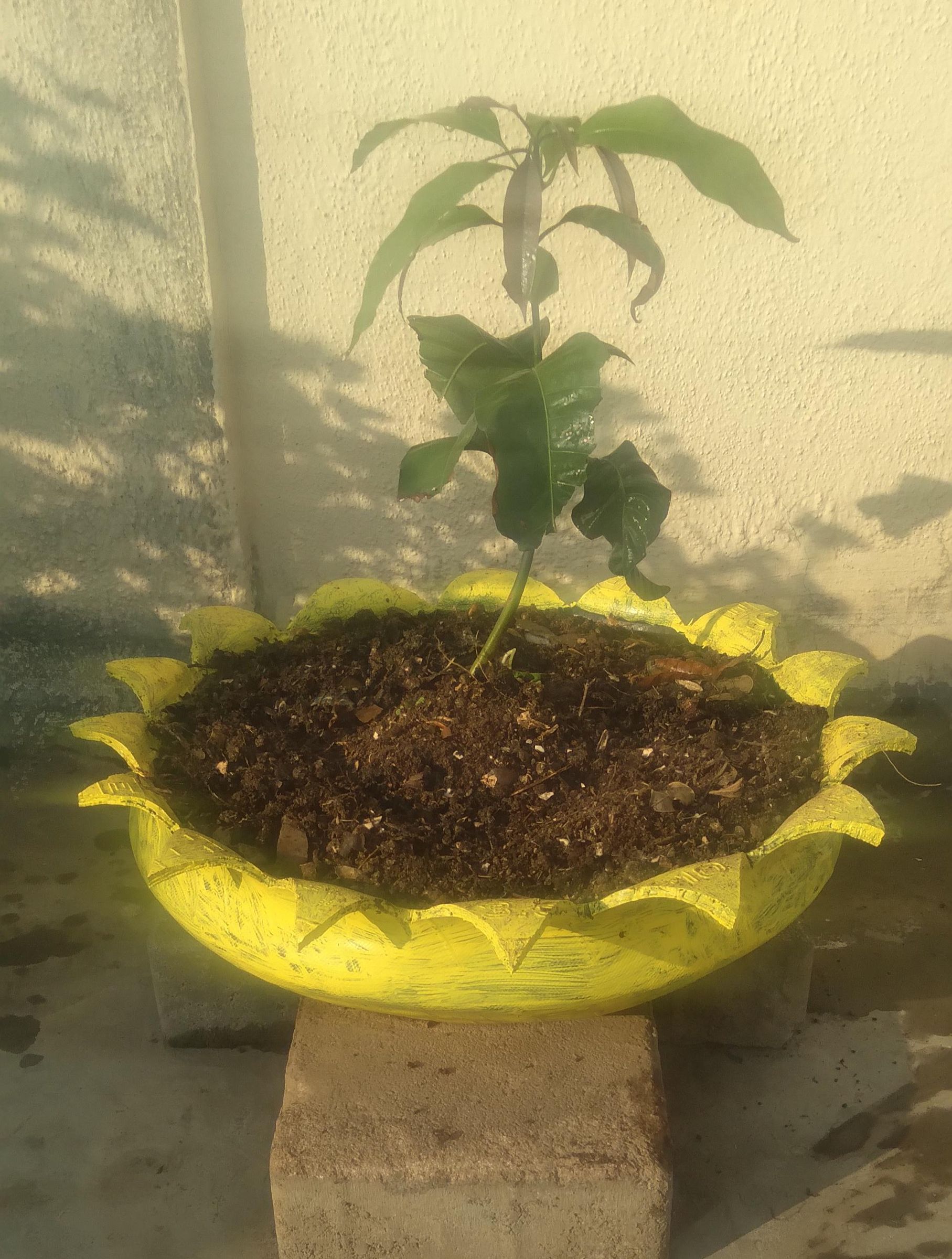 Recycling Tyre & Converting It Into a Plant Pot : 17 Steps (with ...