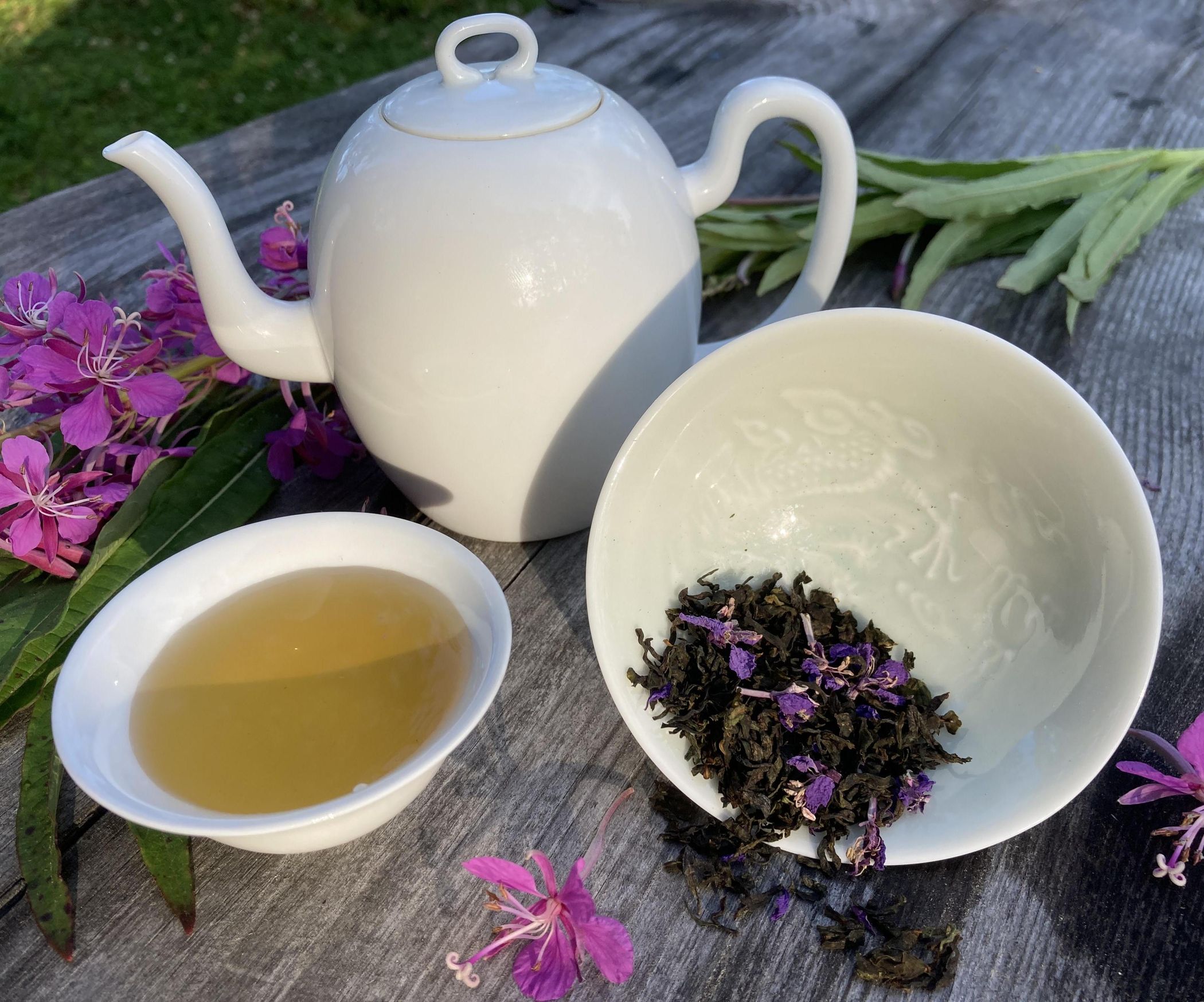How to Harvest and Make Black Tea From Common Weeds, Oxidized and ...