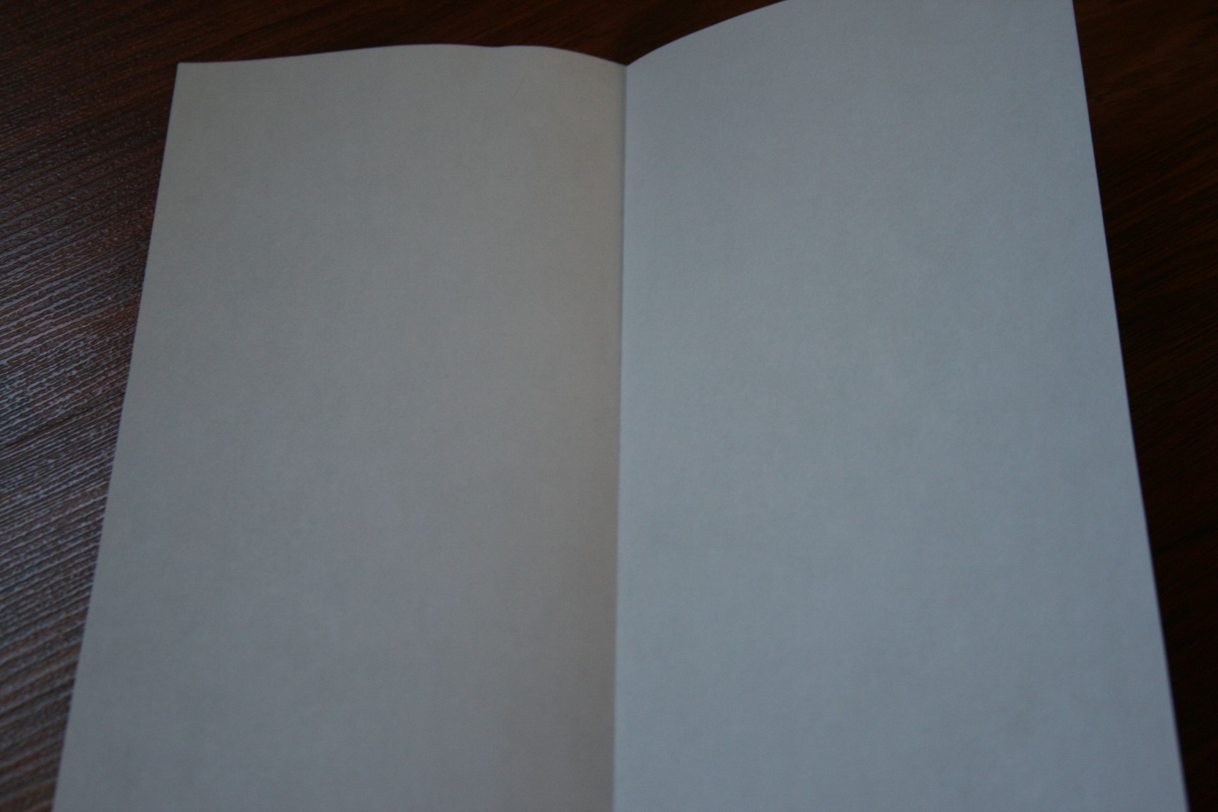 Adjustable Paper Airplane! : 8 Steps - Instructables