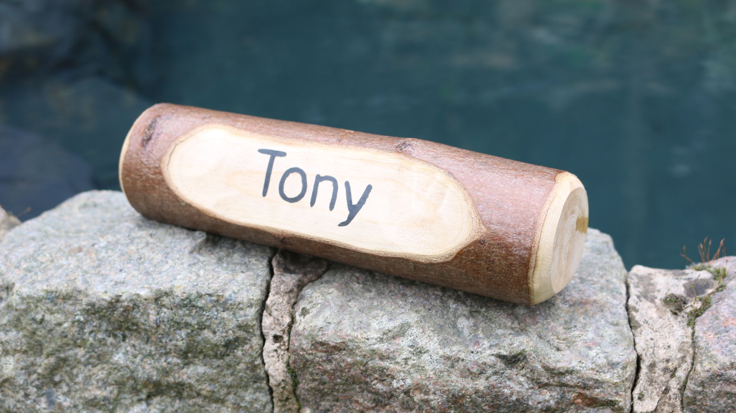 Super Simple! Rustic Log Name Plate : 4 Steps (with Pictures ...