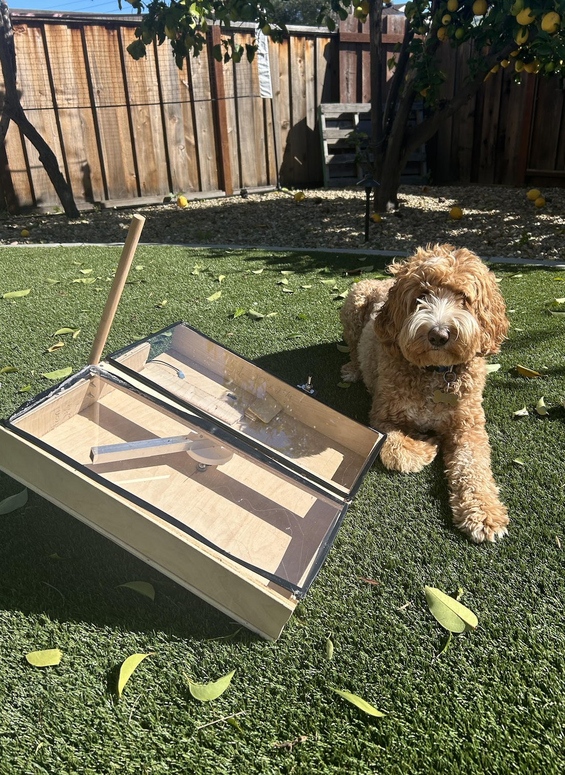 Dog Ball Launcher : 6 Steps - Instructables