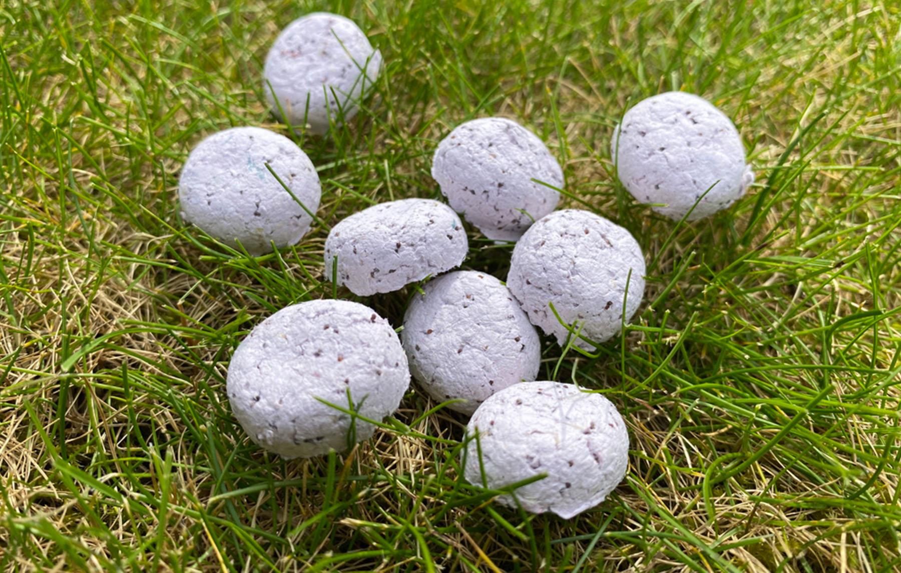 How to Make Seed Bombs : 8 Steps (with Pictures) - Instructables