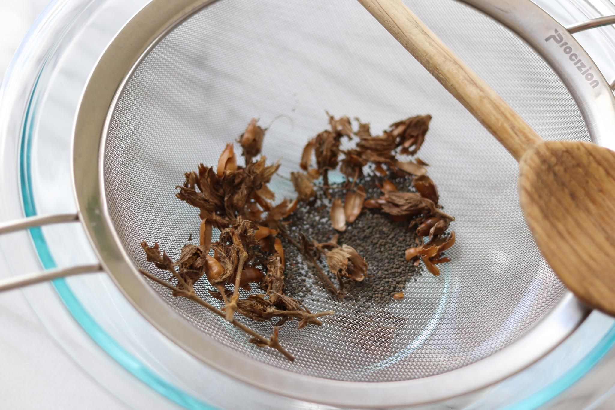 How to Gather Wildflower Seeds : 7 Steps (with Pictures) - Instructables