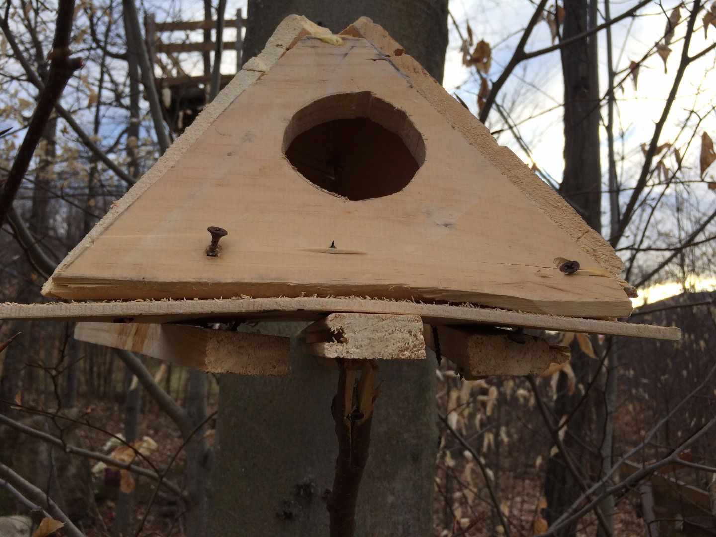 Triangular Bird Box : 4 Steps - Instructables
