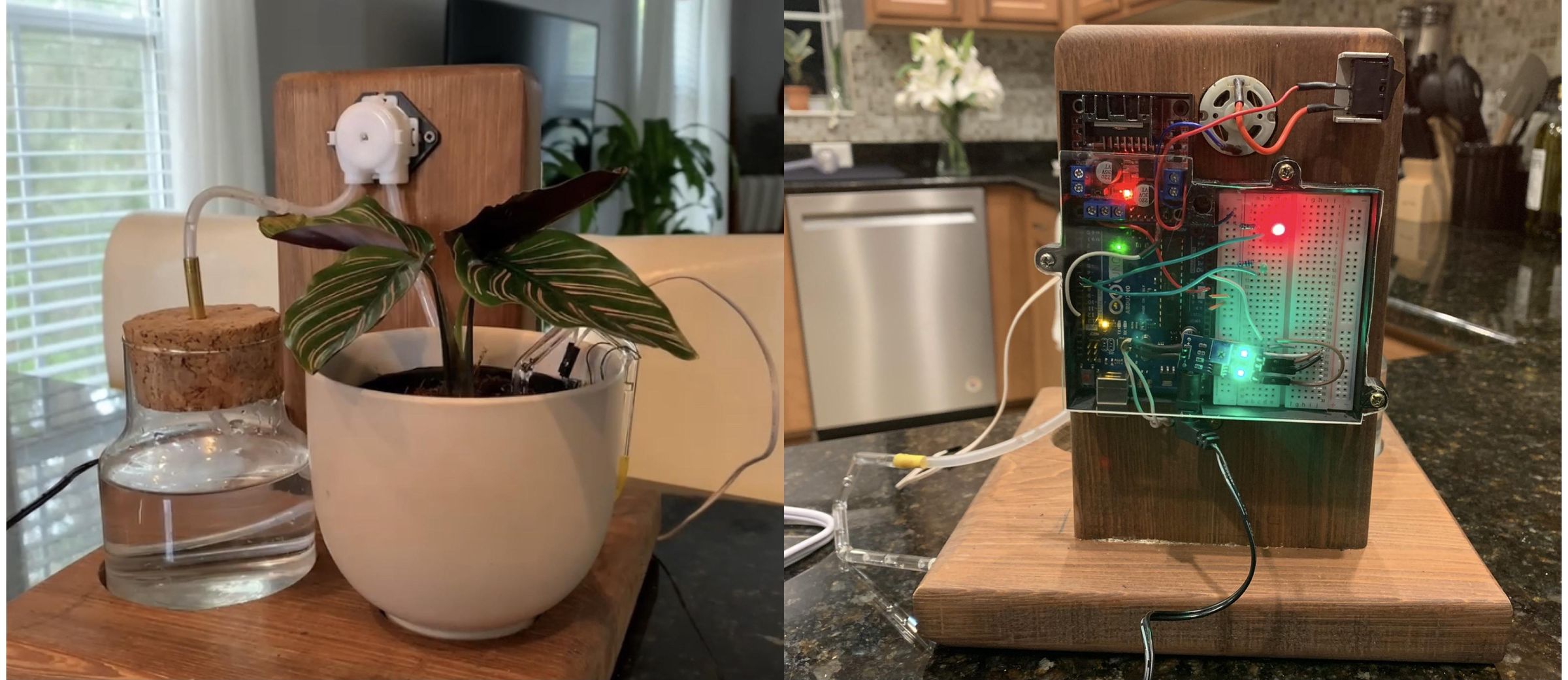 Automatic Plant Watering Sysem : 4 Steps - Instructables