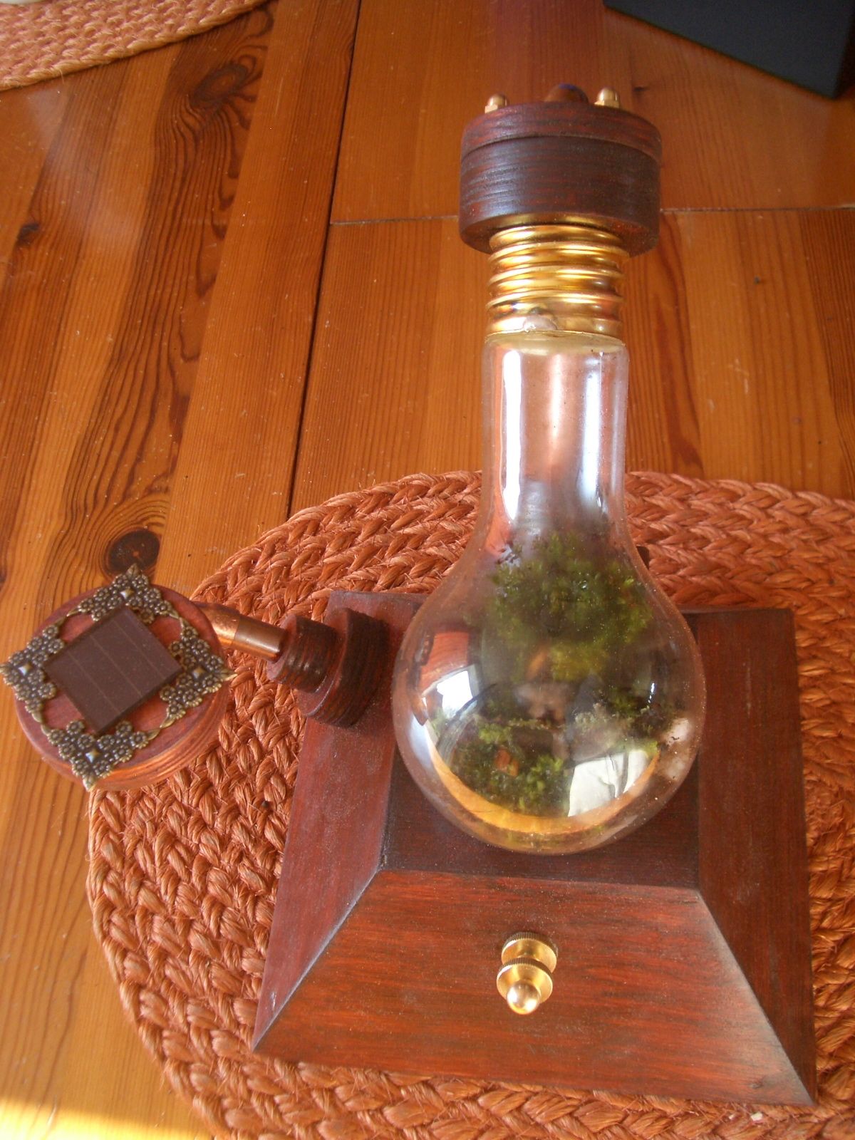 "The Steampunk Garden" in a Bulb : 3 Steps (with Pictures) - Instructables