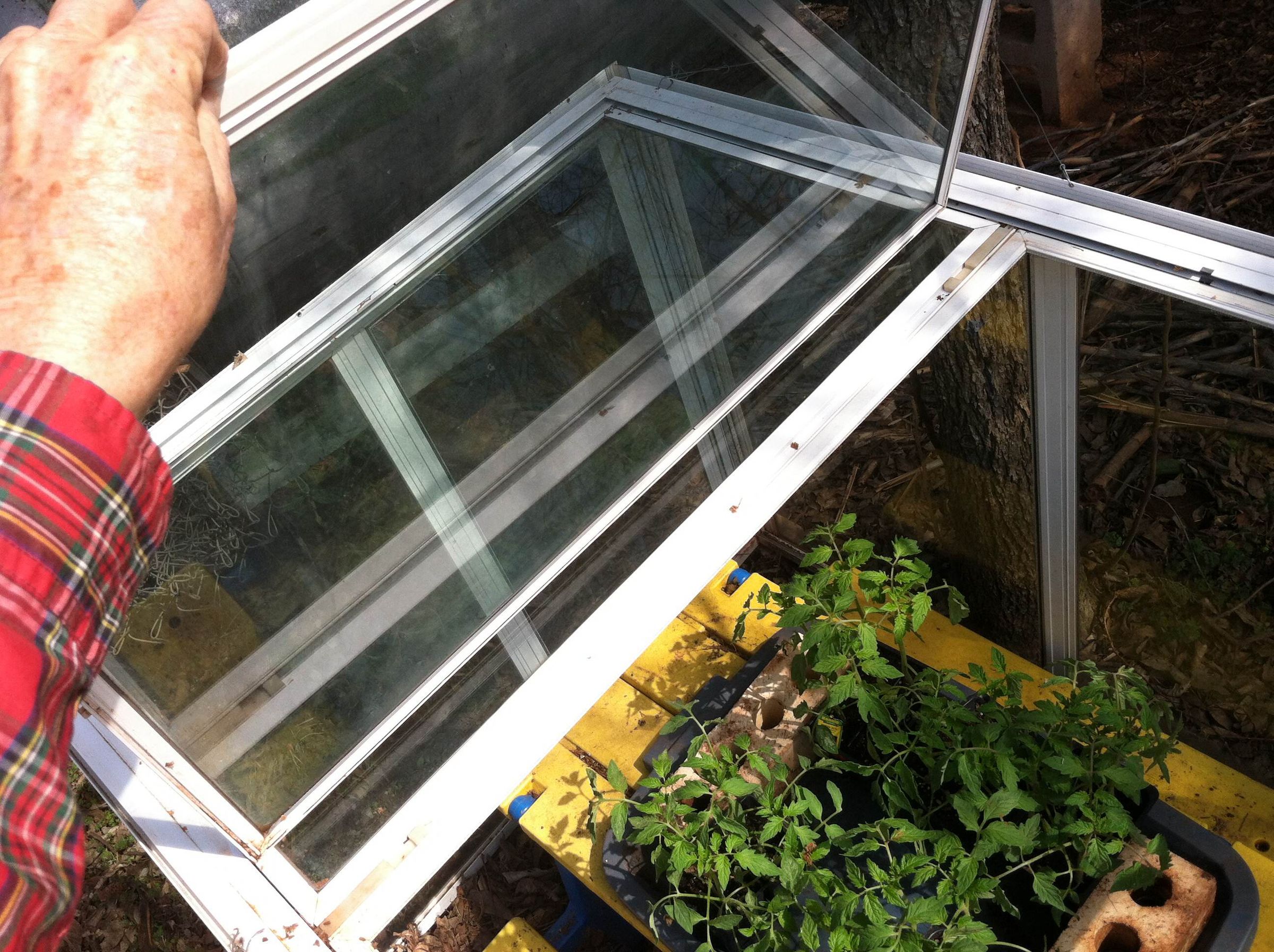 Tomato Hot House - Instructables