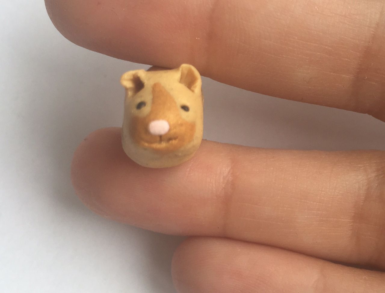 Hamster Race Game : 5 Steps (with Pictures) - Instructables