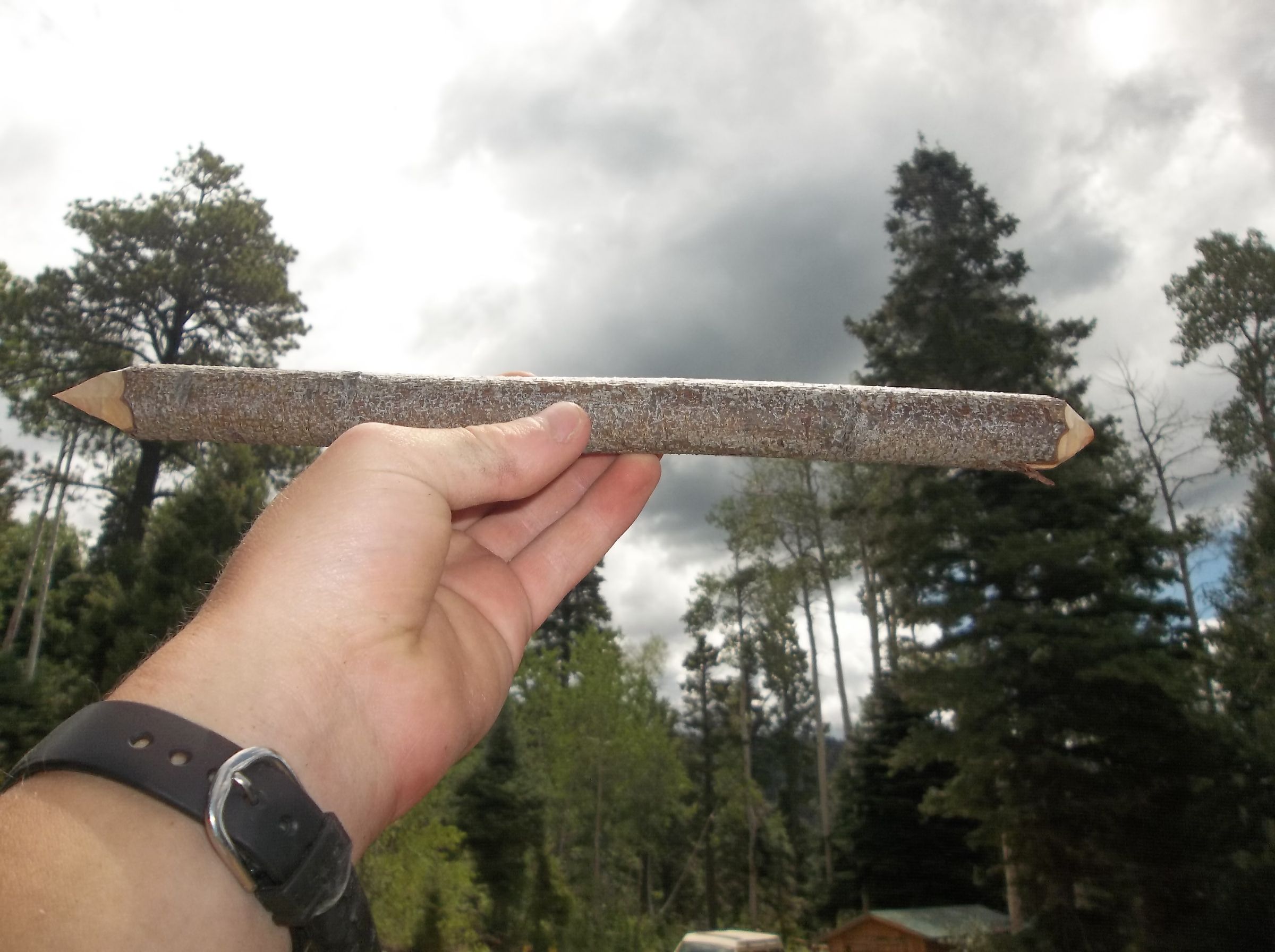 Primitive Fire Starting: the Bow Drill : 9 Steps (with Pictures ...