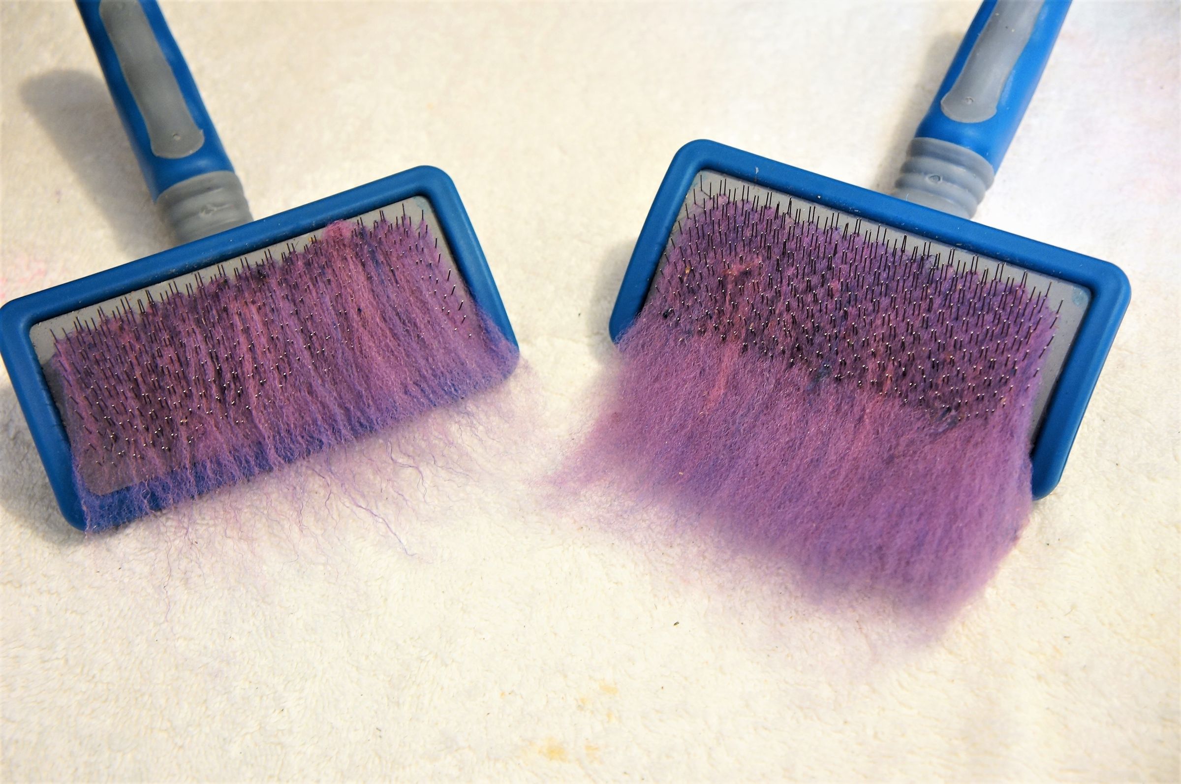 How to Process Card and Dye Raw Wool : 12 Steps (with Pictures ...