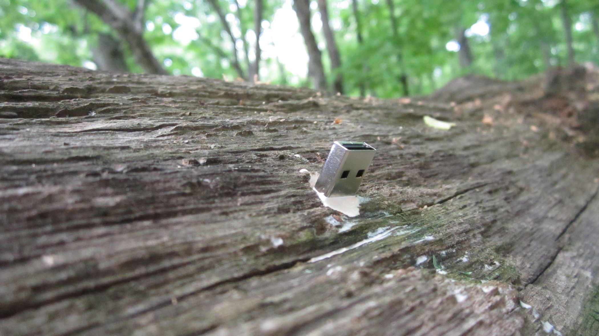 Create a USB Dead Drop in Nature : 10 Steps (with Pictures) - Instructables