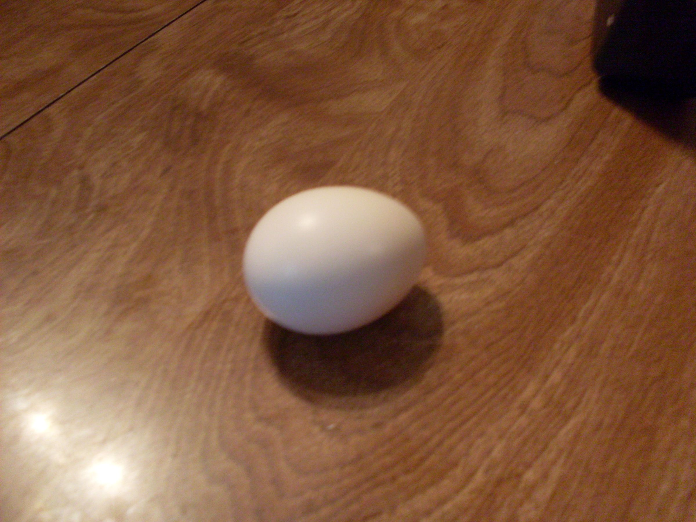 Extremely Annoying Rotten Egg Prank : 5 Steps - Instructables