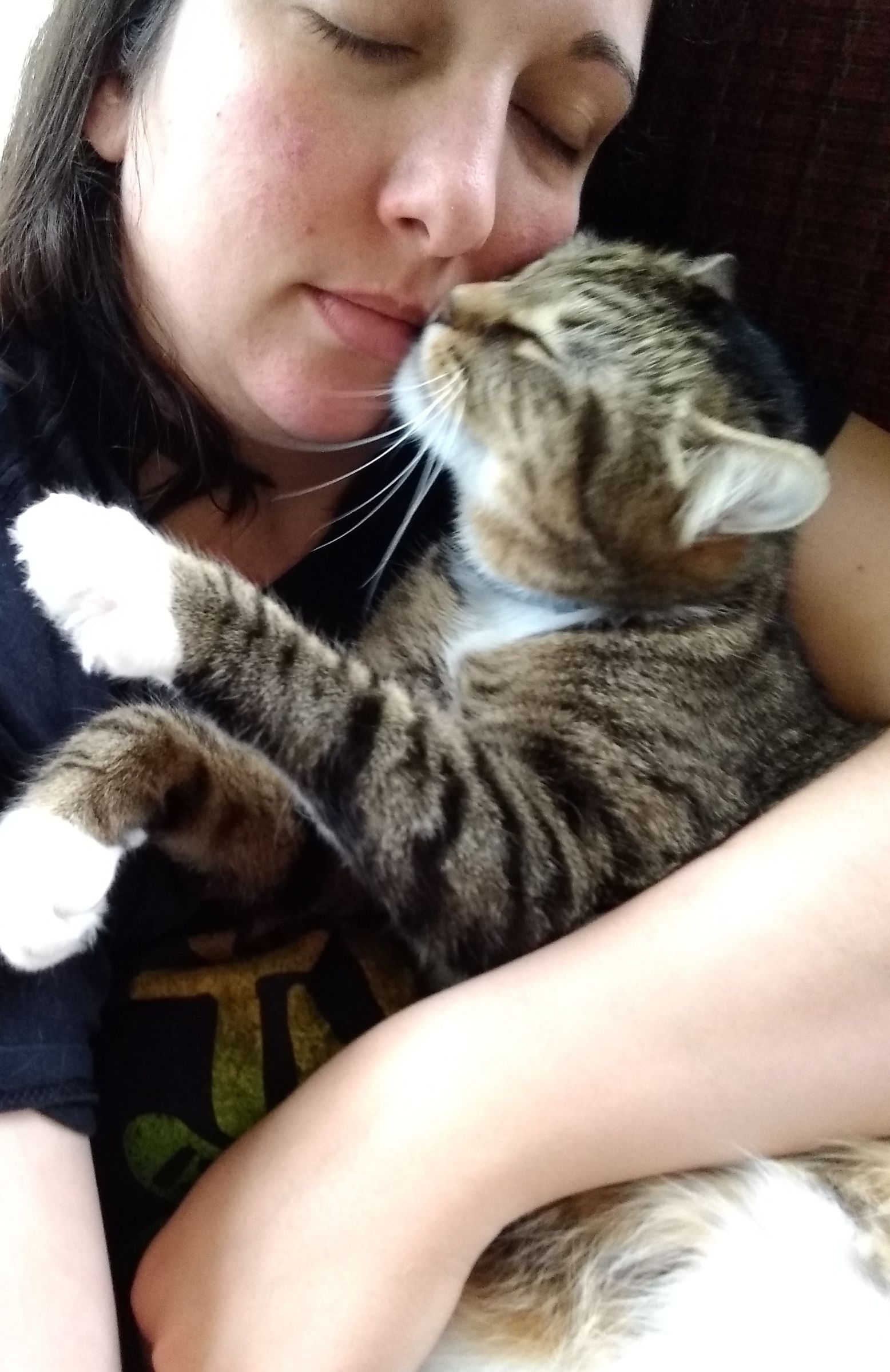 How To: Lull Your Cat to Sleep : 14 Steps (with Pictures) - Instructables