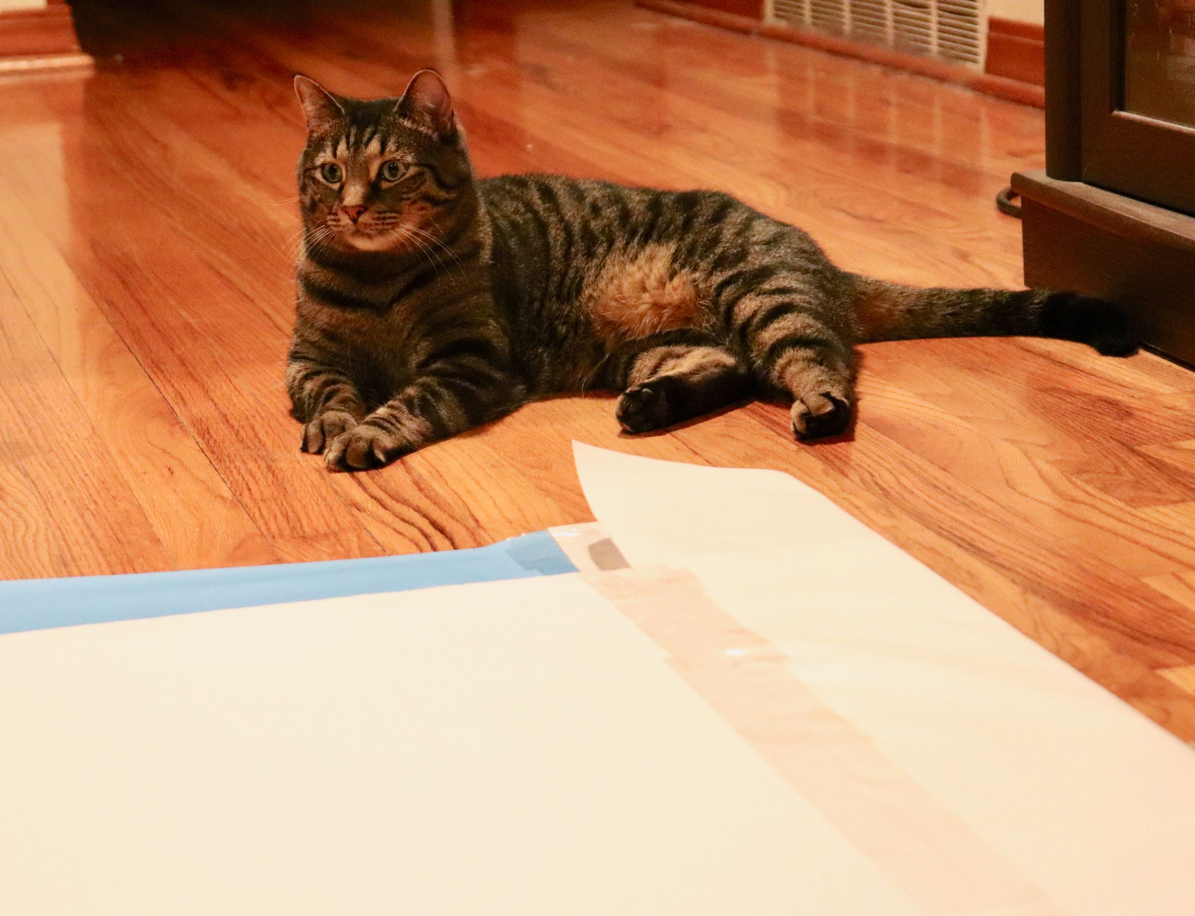 Giant Party Prop Book : 8 Steps (with Pictures) - Instructables