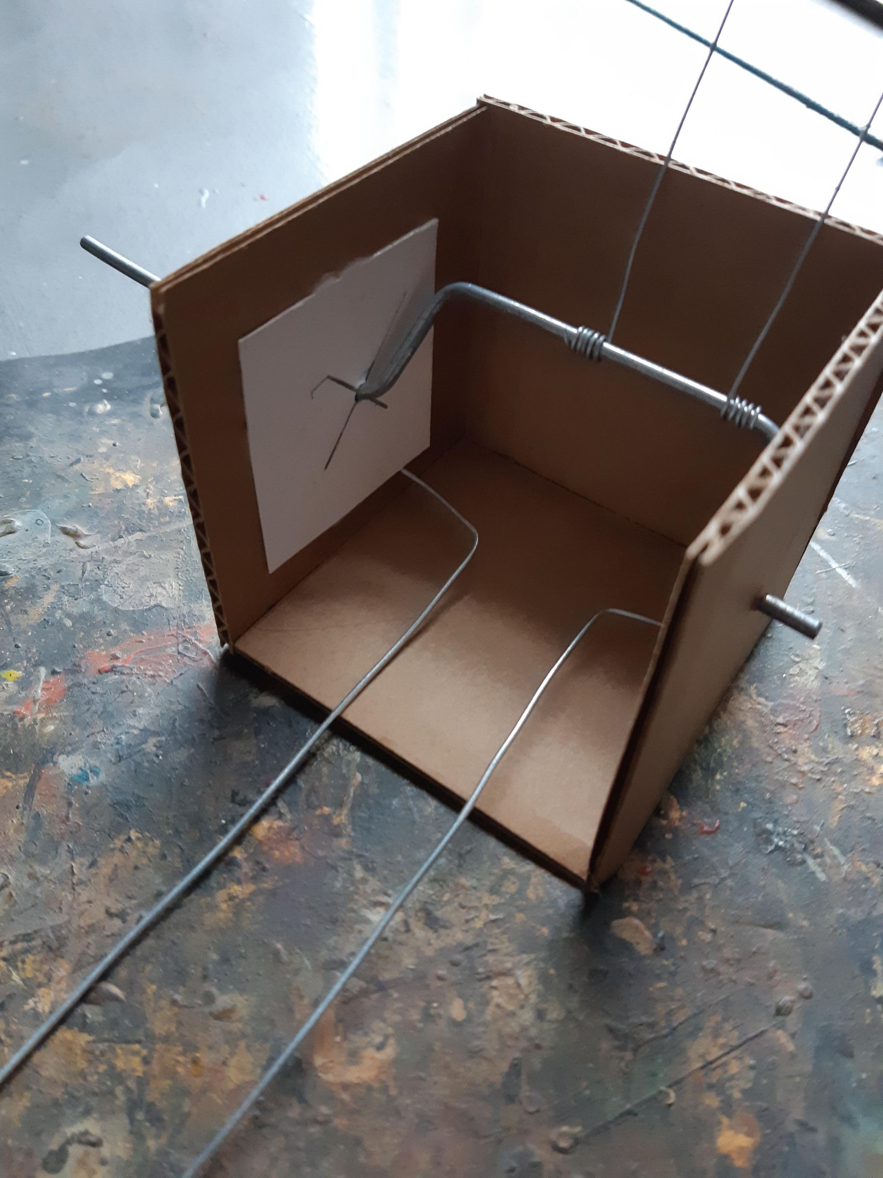 Bird Out of the Box : 10 Steps (with Pictures) - Instructables