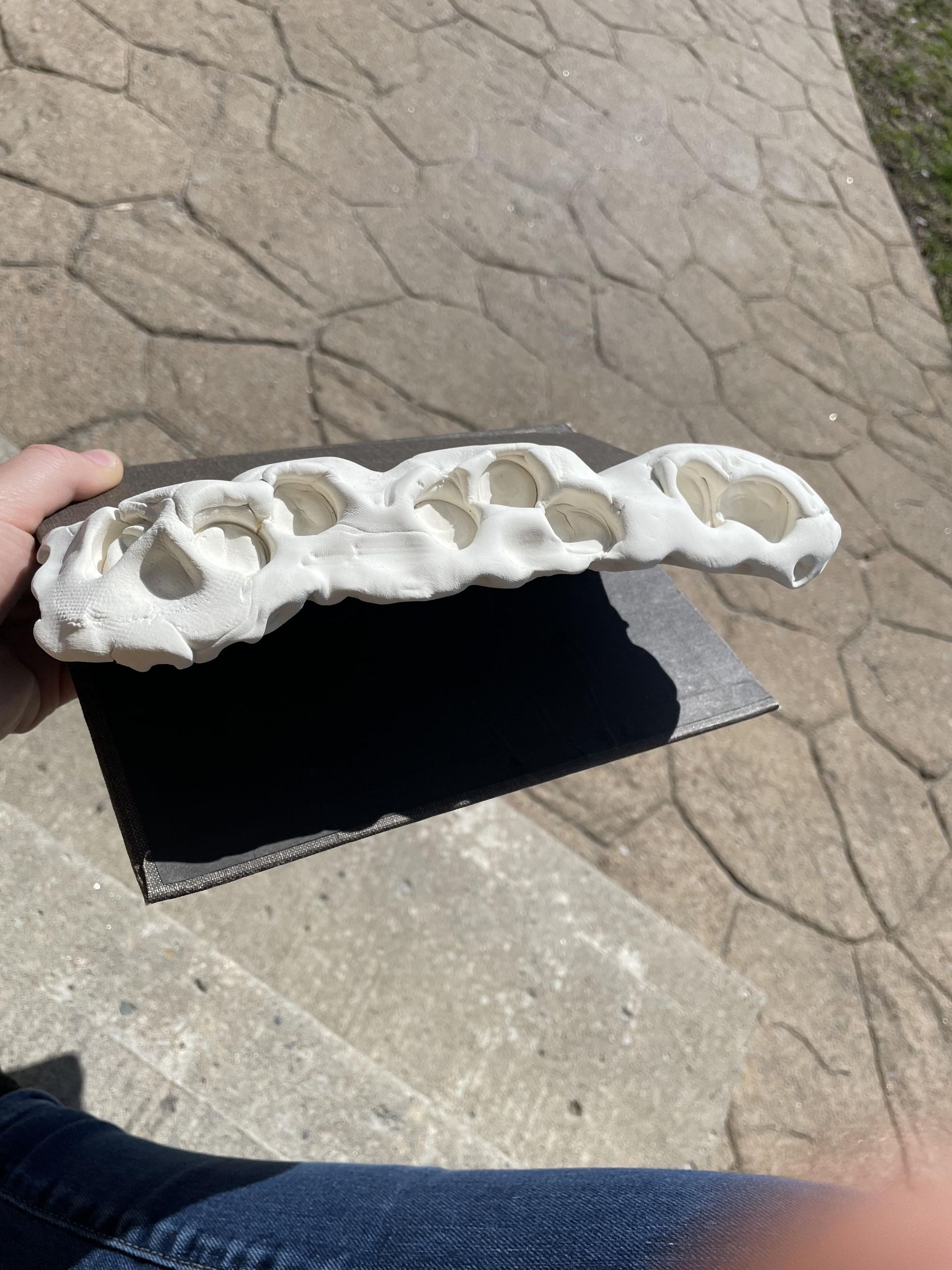 DnD Mimic Prop/Notebook : 13 Steps (with Pictures) - Instructables