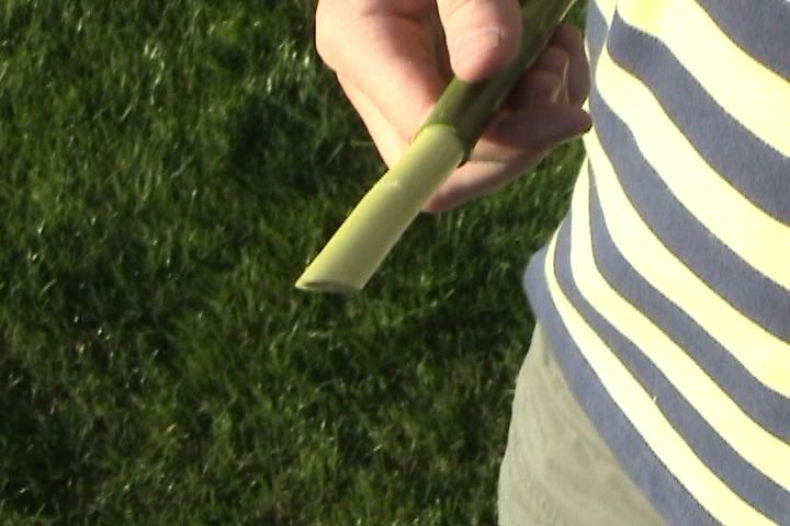 Willow Whistle : 7 Steps (with Pictures) - Instructables