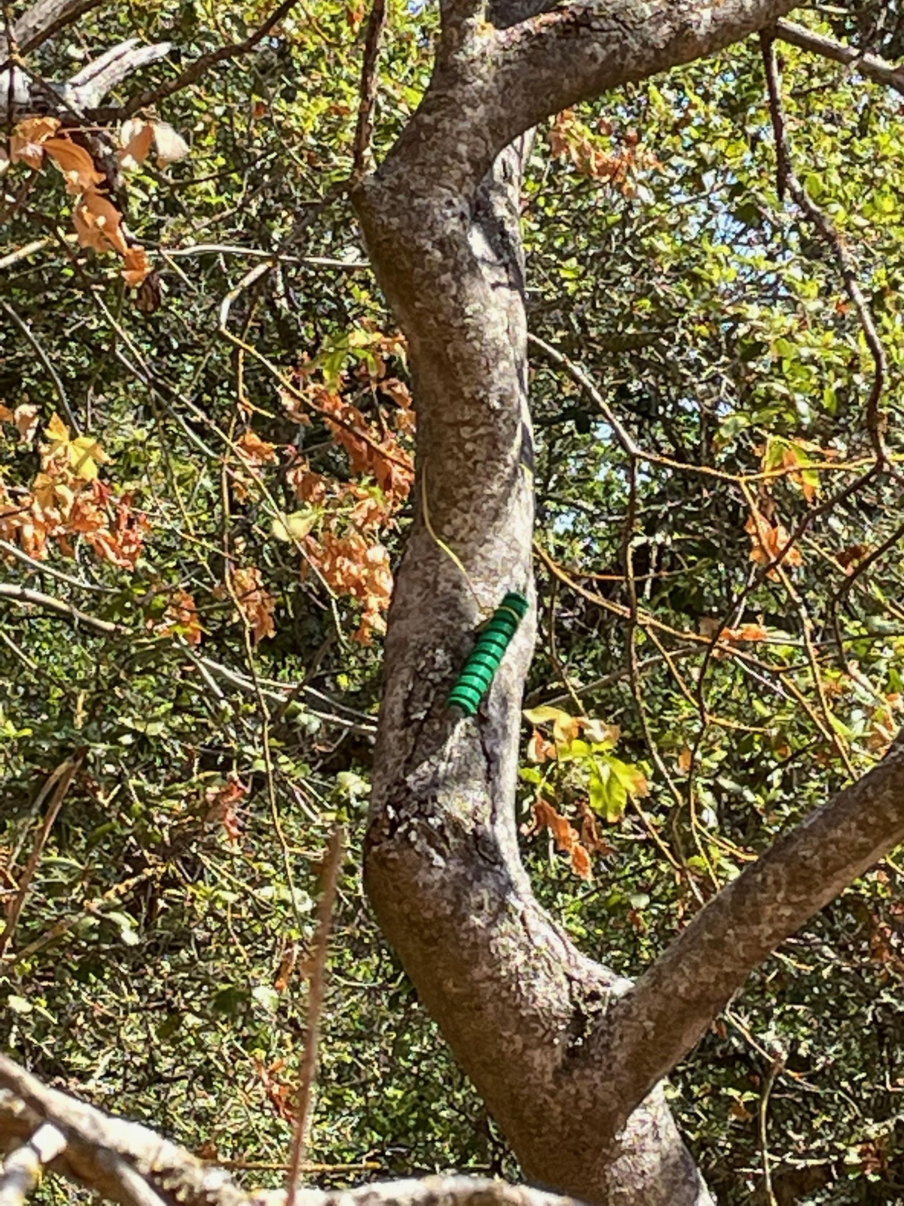 3D Printed Puzzle Geocache Container! : 10 Steps (with Pictures ...